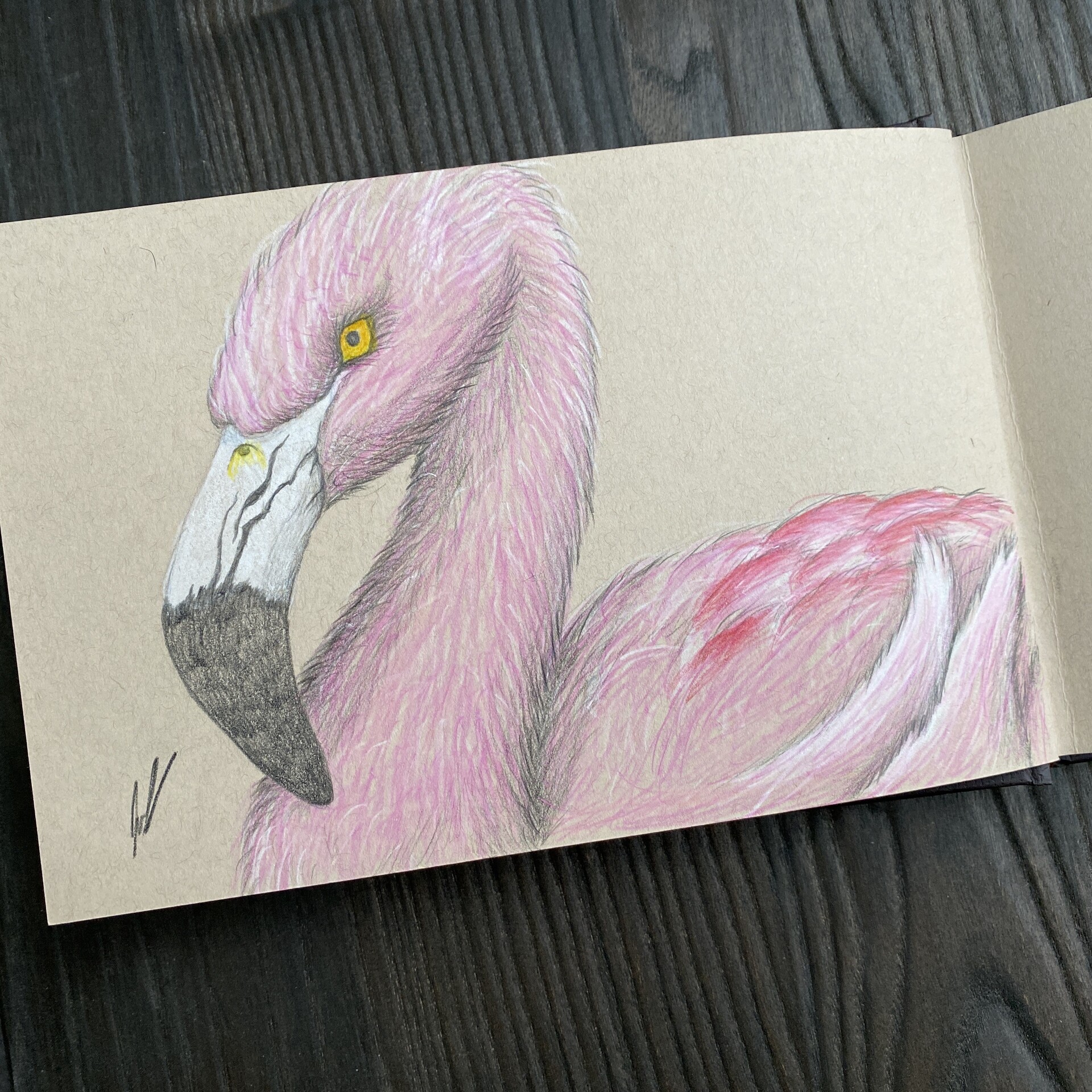 ArtStation - Flamingo