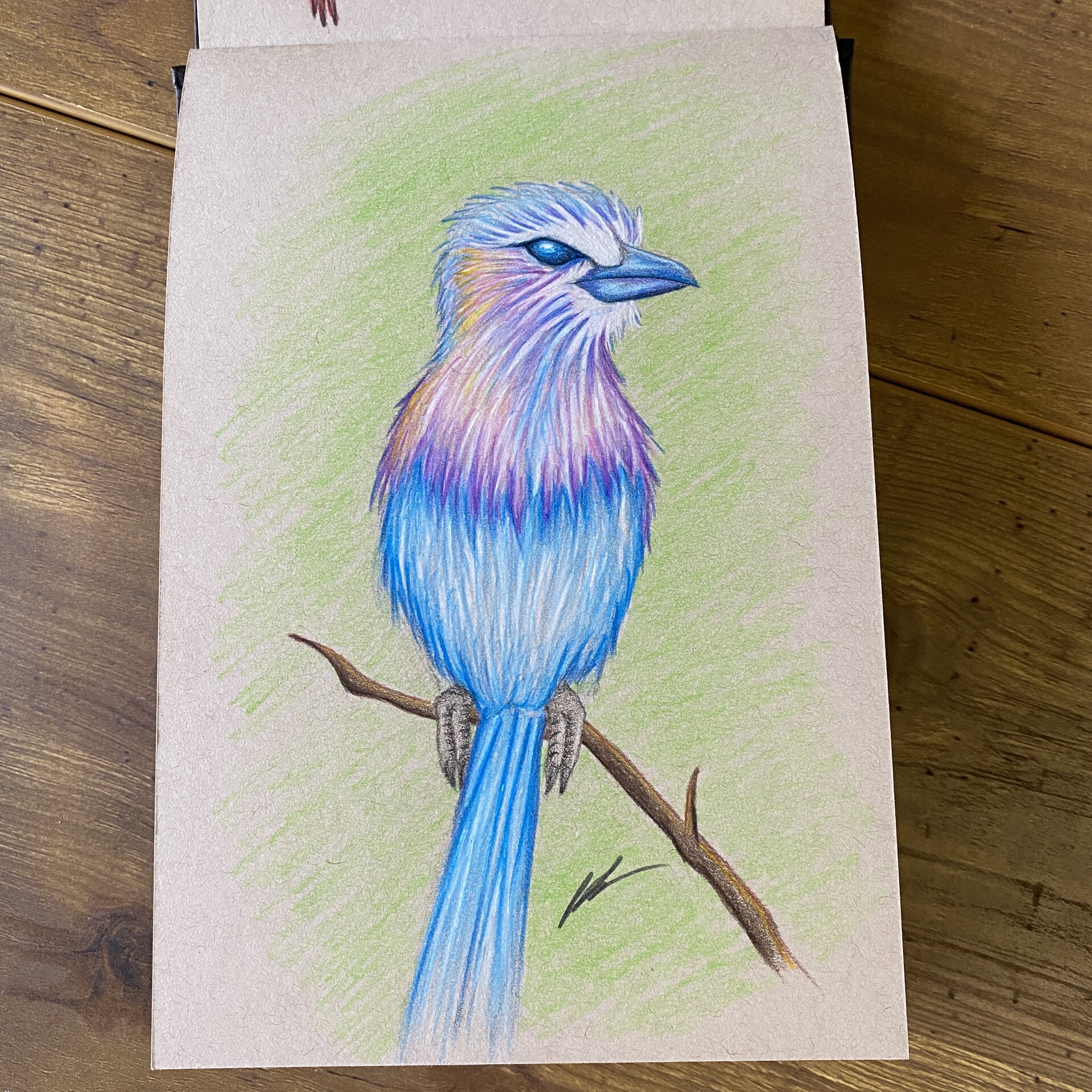 ArtStation - Colorful bird