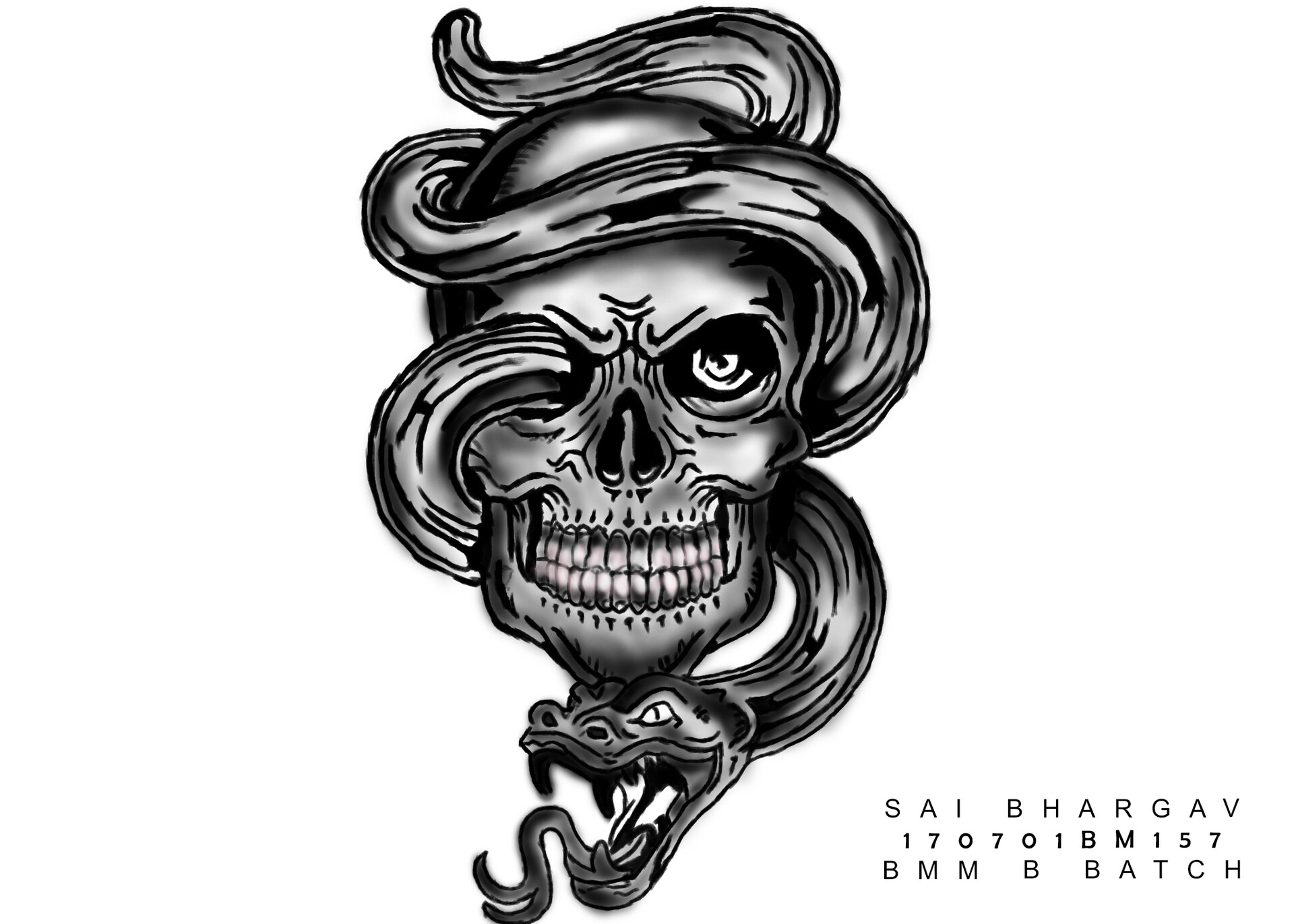 ArtStation - Skull Digital Art