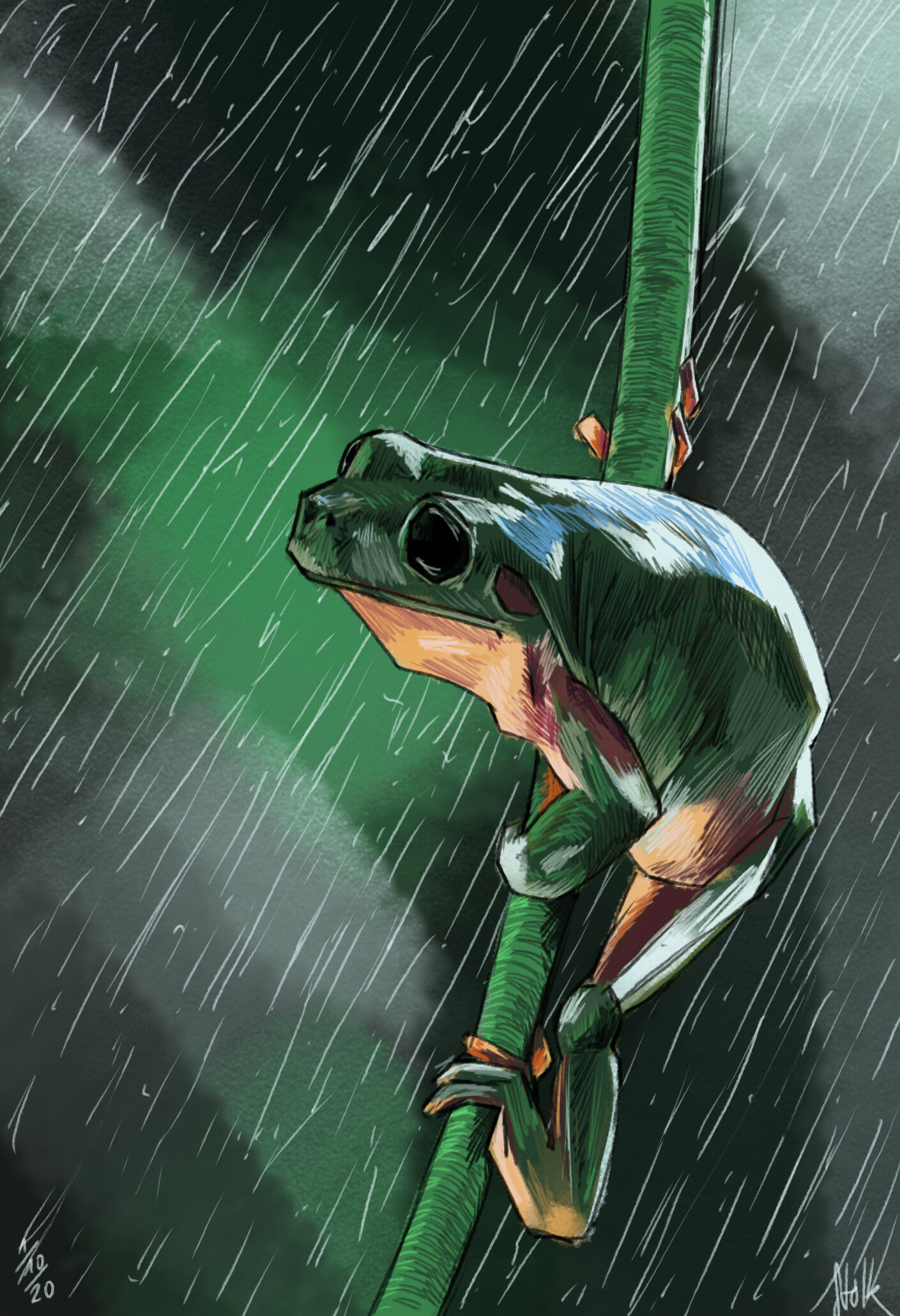 ArtStation - Frog in the rain