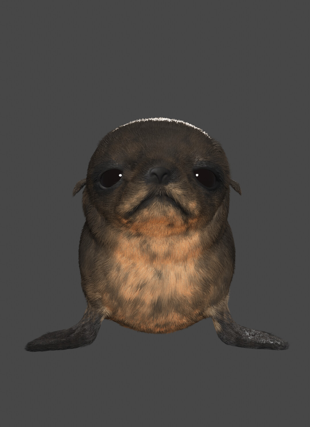 Sad Seal