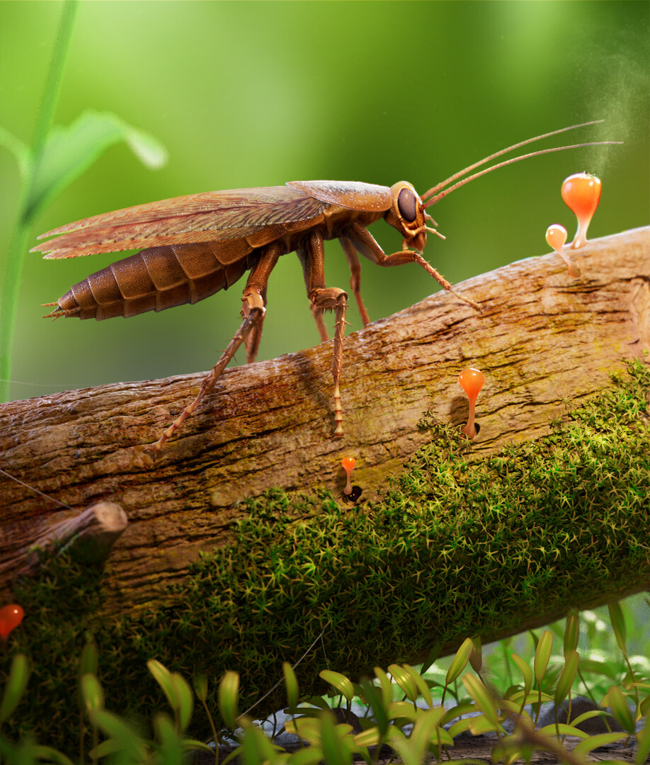 ArtStation - Microworld