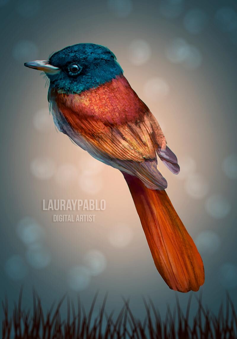 ArtStation - Bird practice