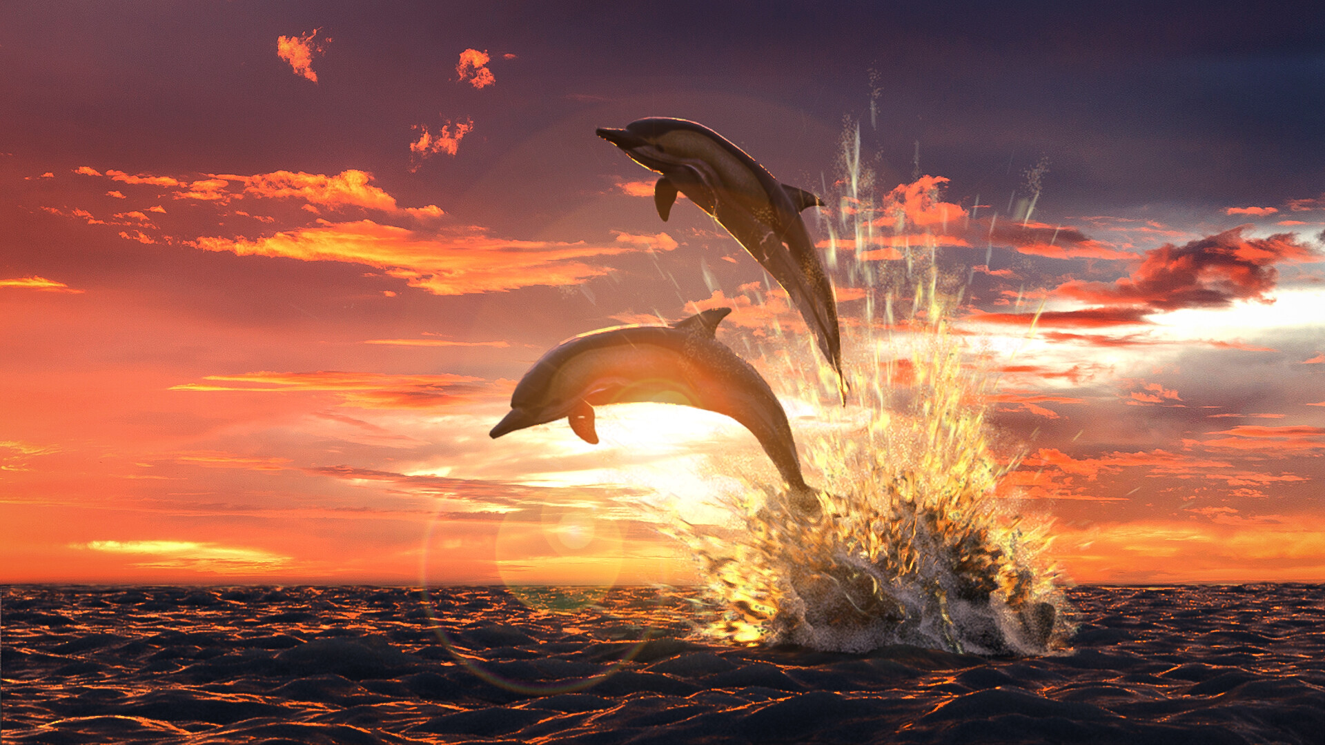 ArtStation - Houdini Dolphins.