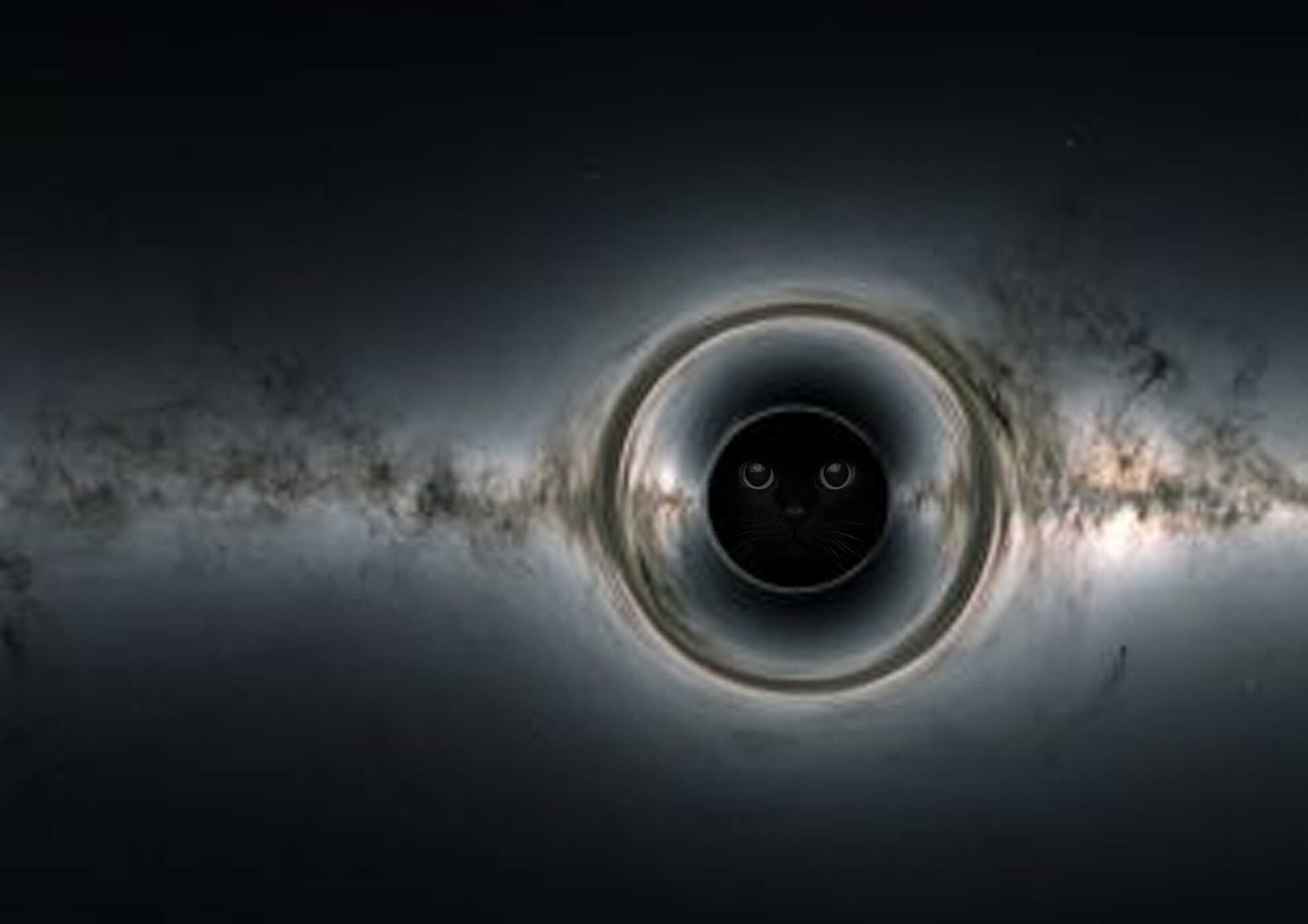 ArtStation - Black hole with a cat in it