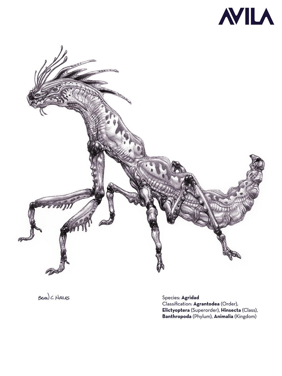 ArtStation - Agridad