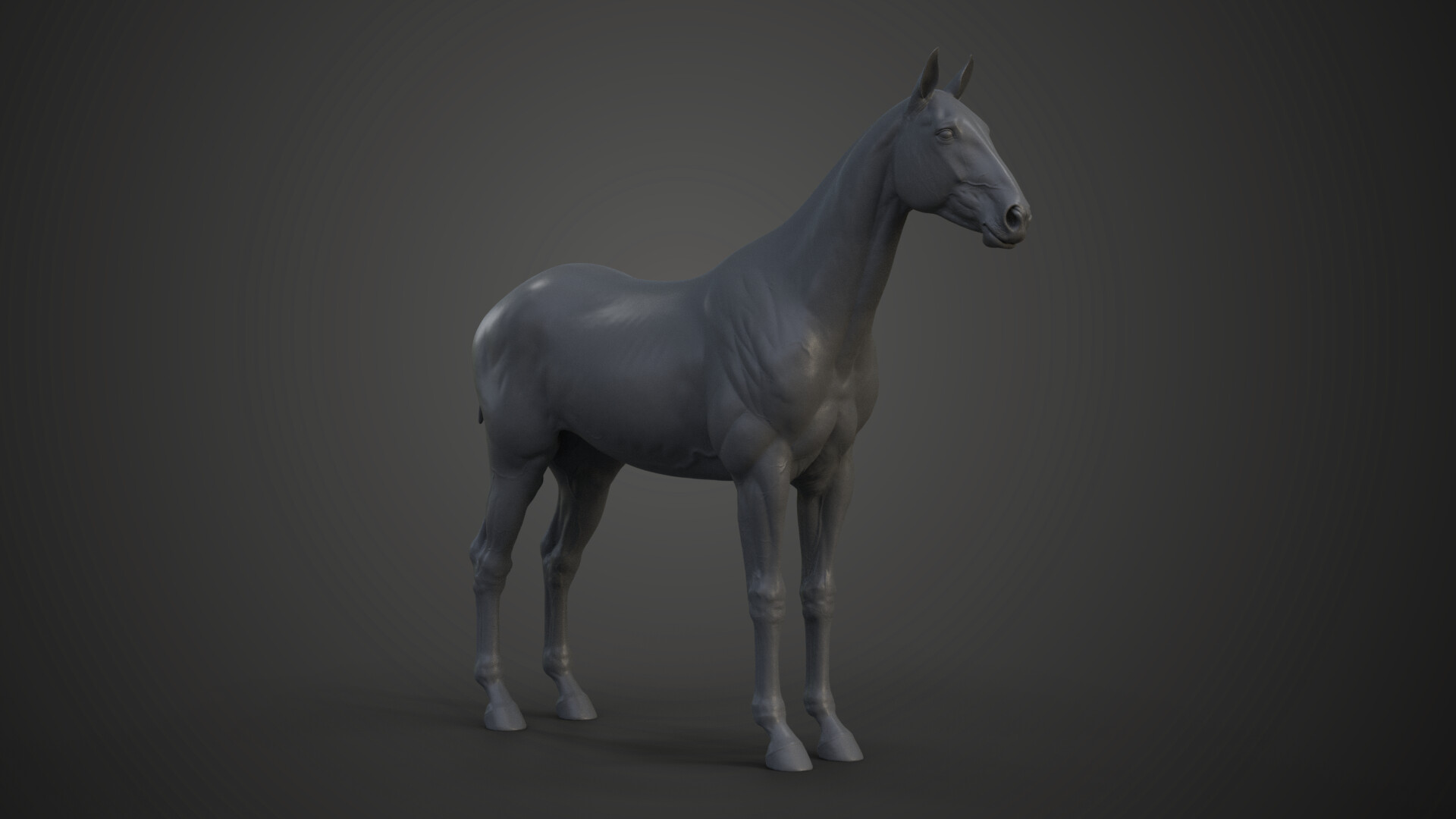 VFX models - Horse Model 3D model