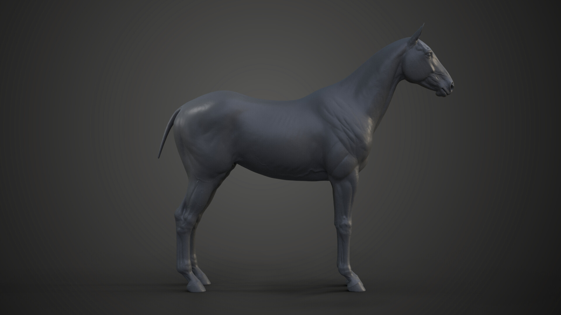 VFX models - Horse Model 3D model