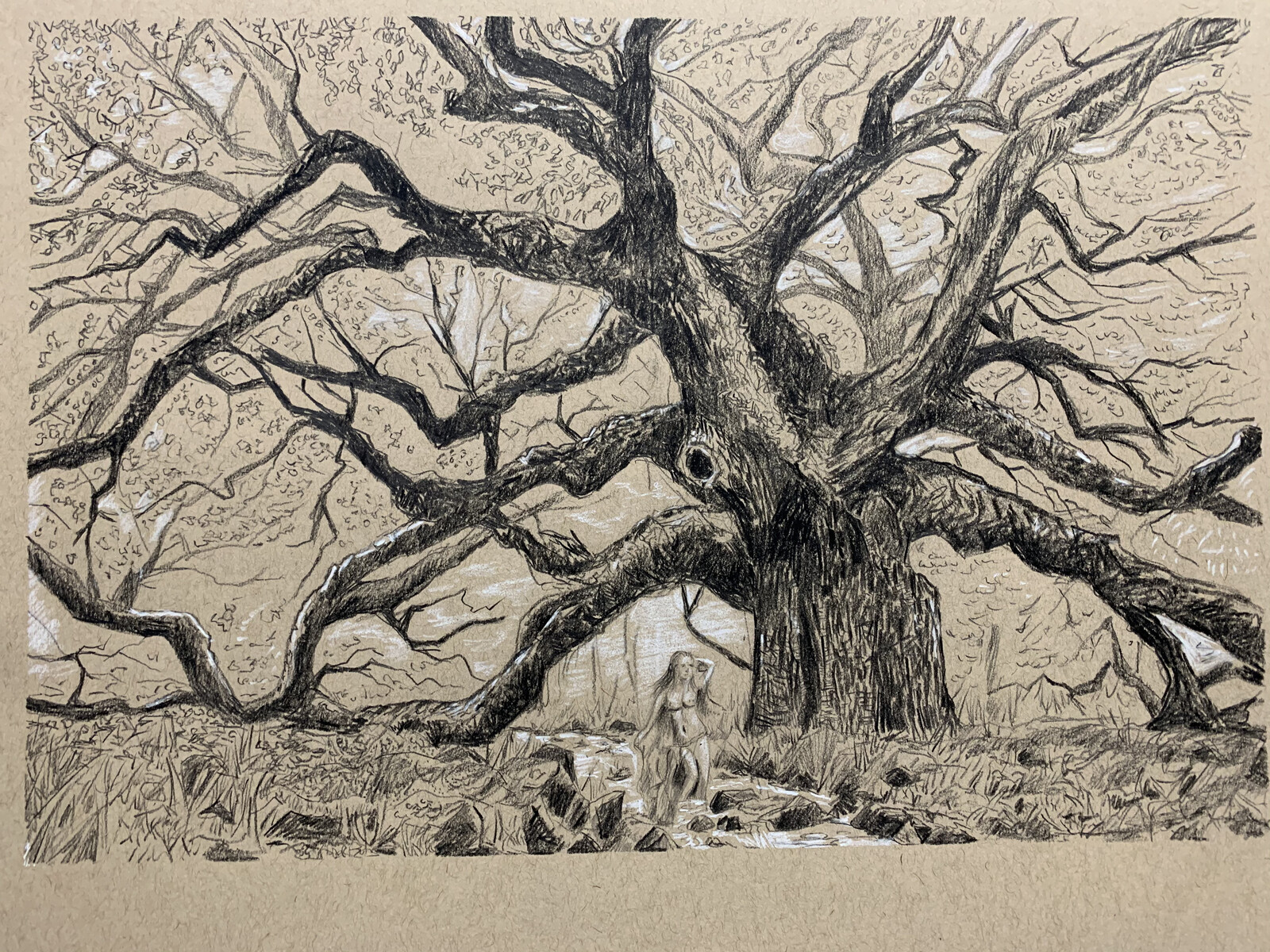 Richard Cave - Portfolio