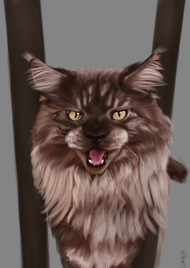 ArtStation - Handsome cat