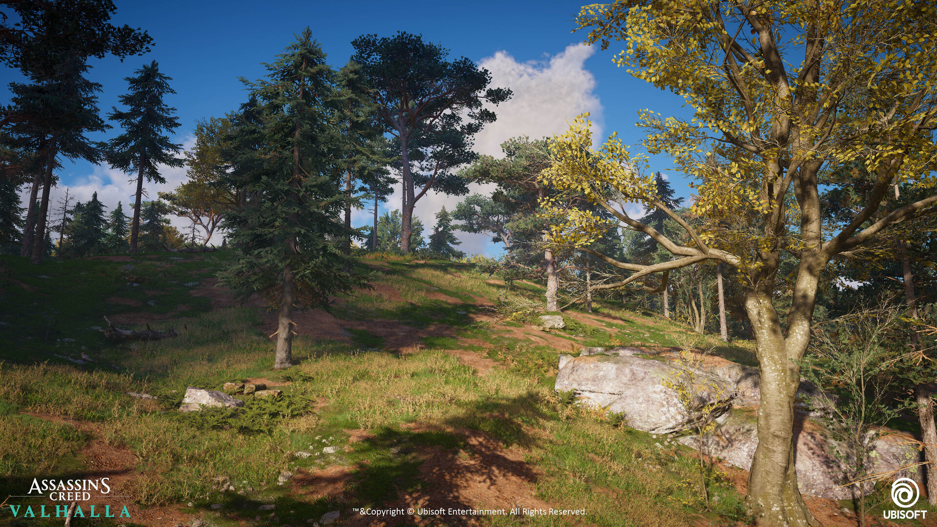 Georgi Hristov - Assassin's Creed Valhalla: Generic Forest and ...