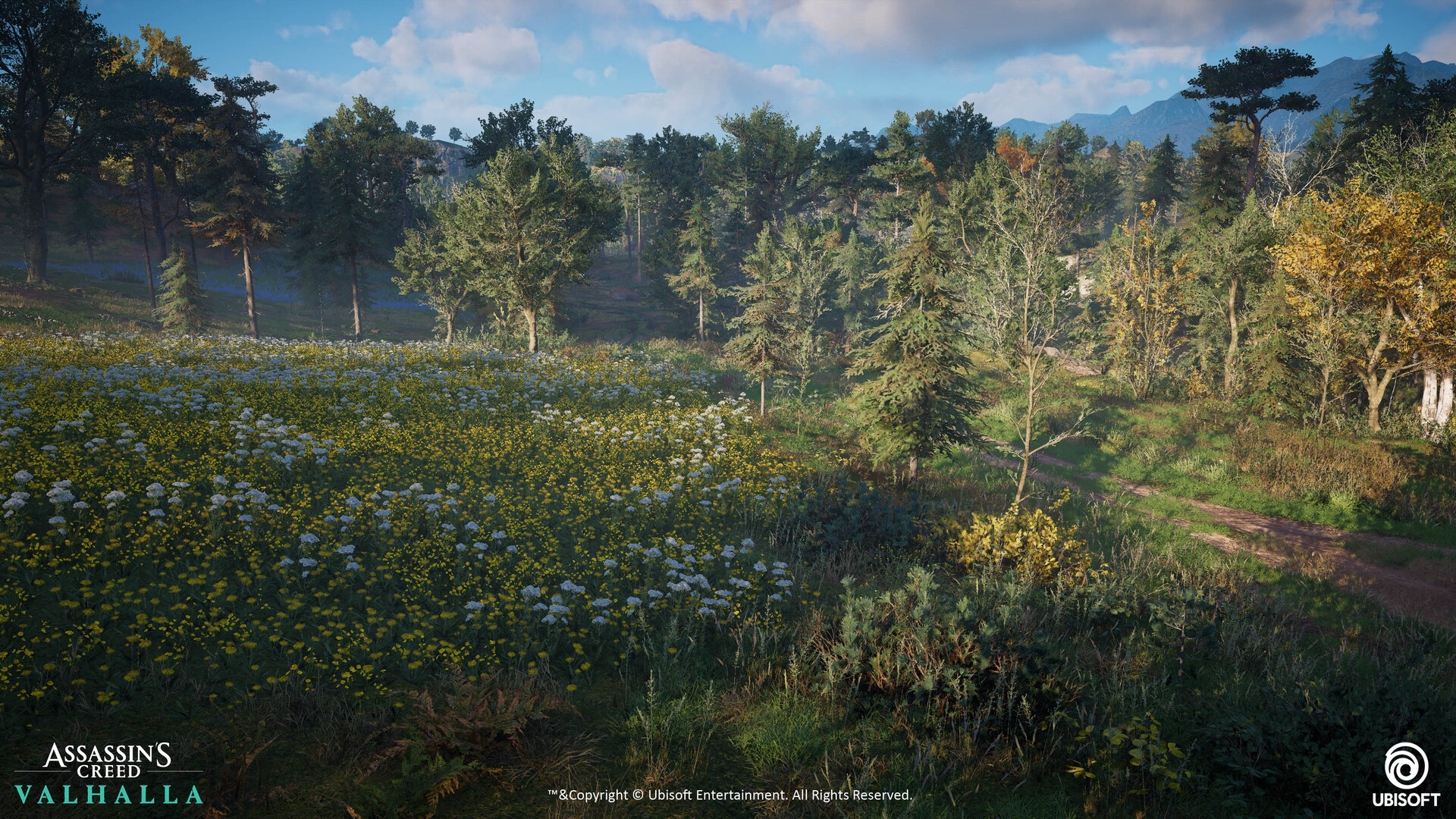 Georgi Hristov - Assassin's Creed Valhalla: Generic Forest and ...