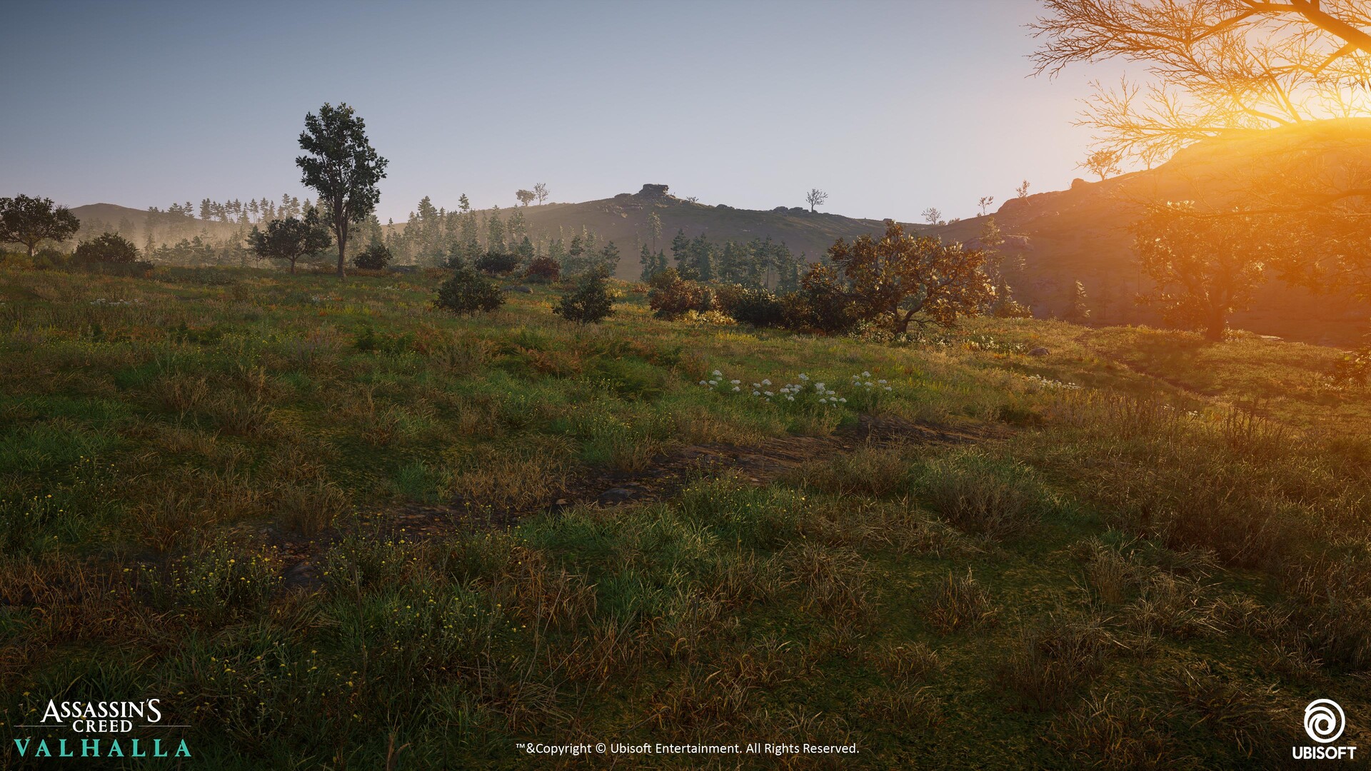 Georgi Hristov - Assassin's Creed Valhalla: Generic Forest and ...