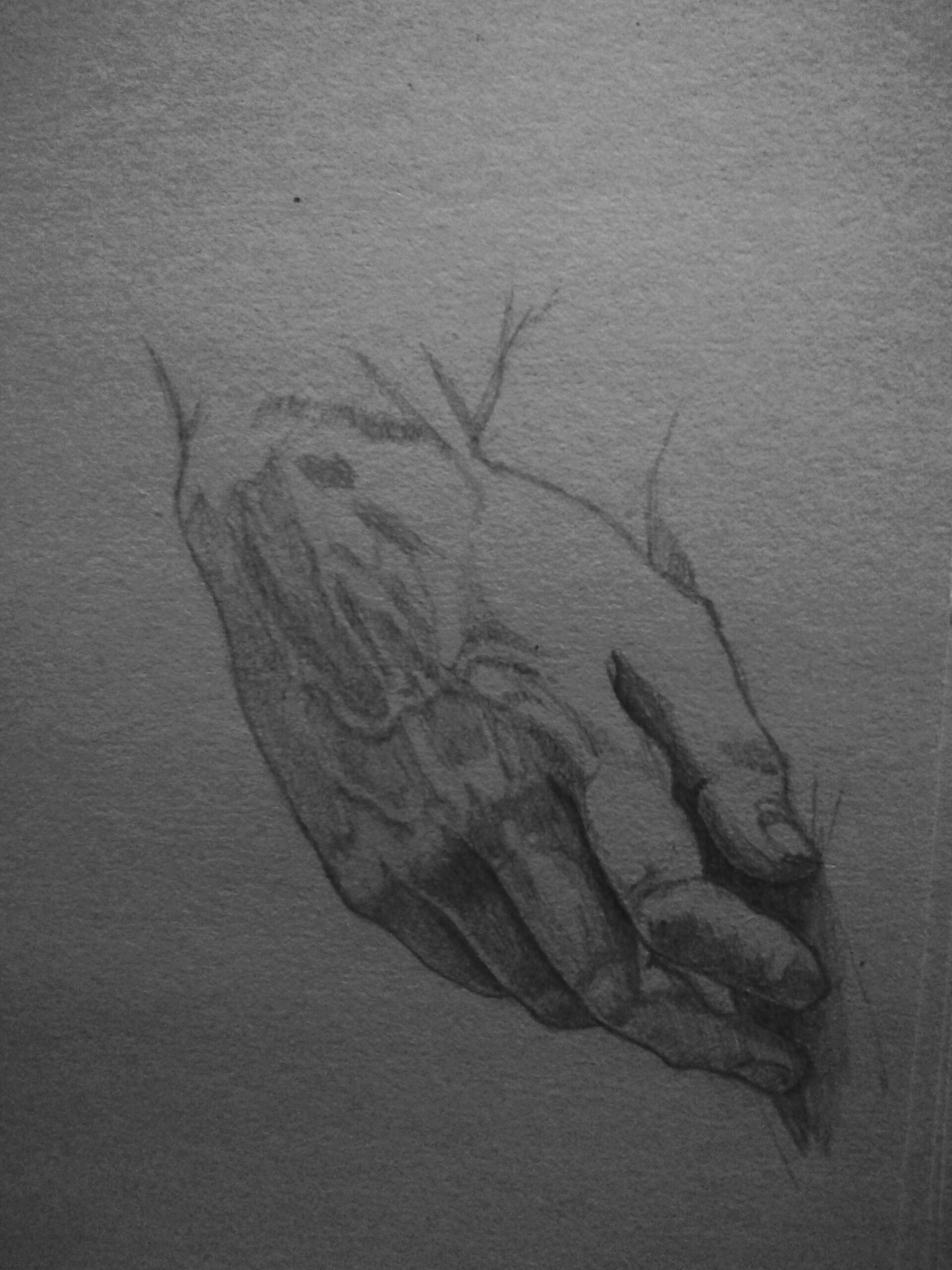 ArtStation - Hand of David