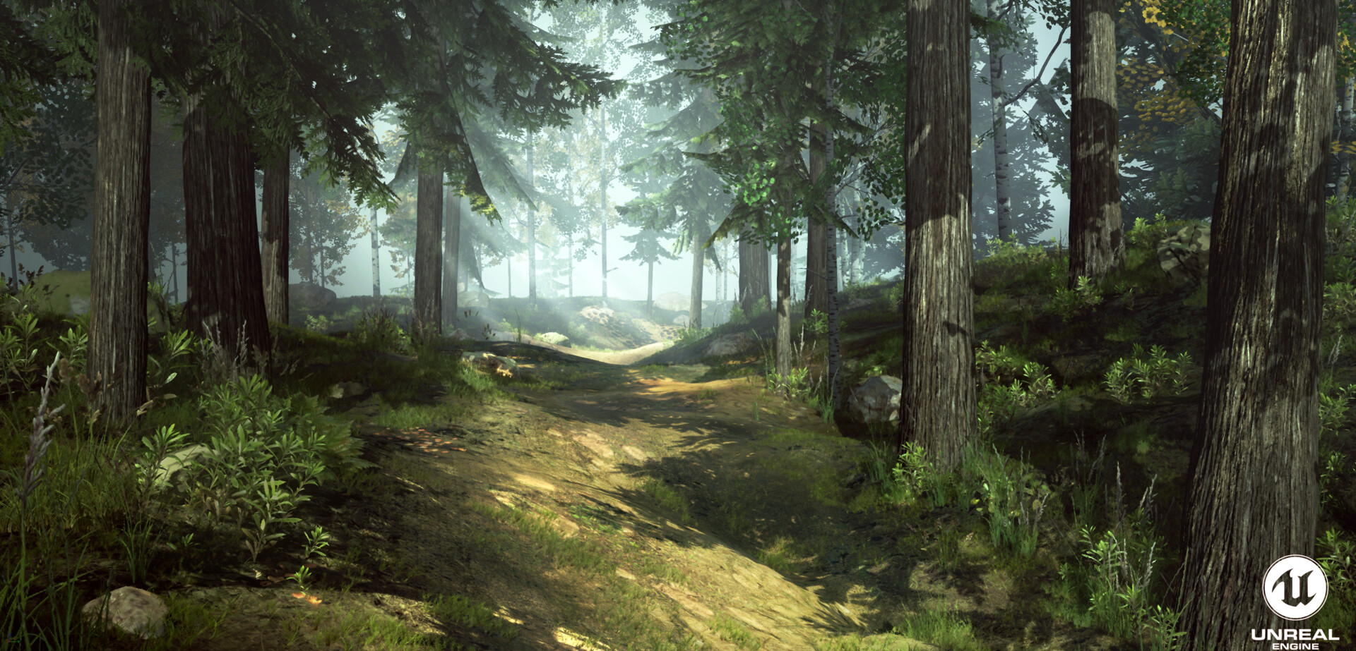 ArtStation - Forest