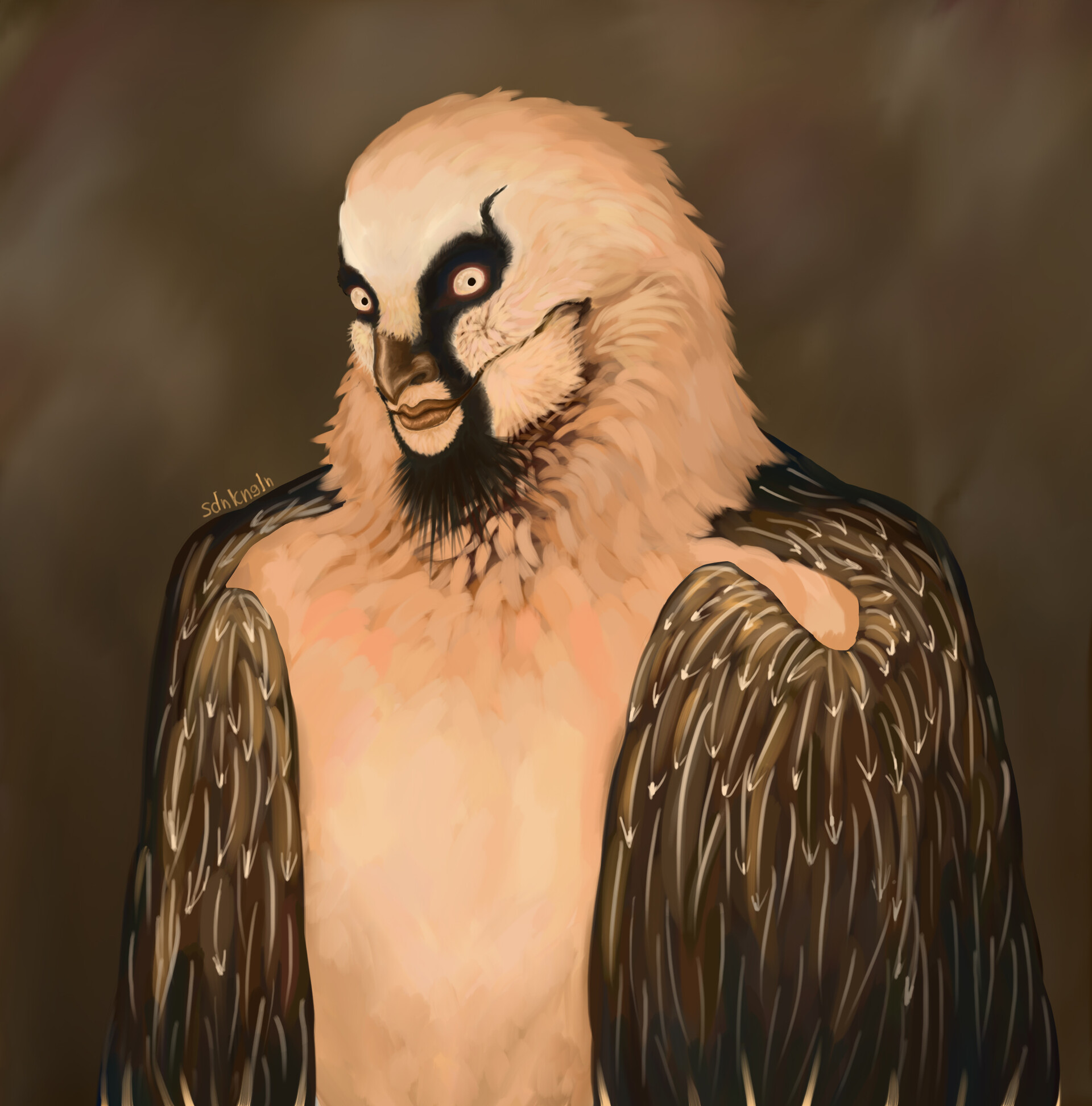 ArtStation - Gypaetus barbatus or hawk