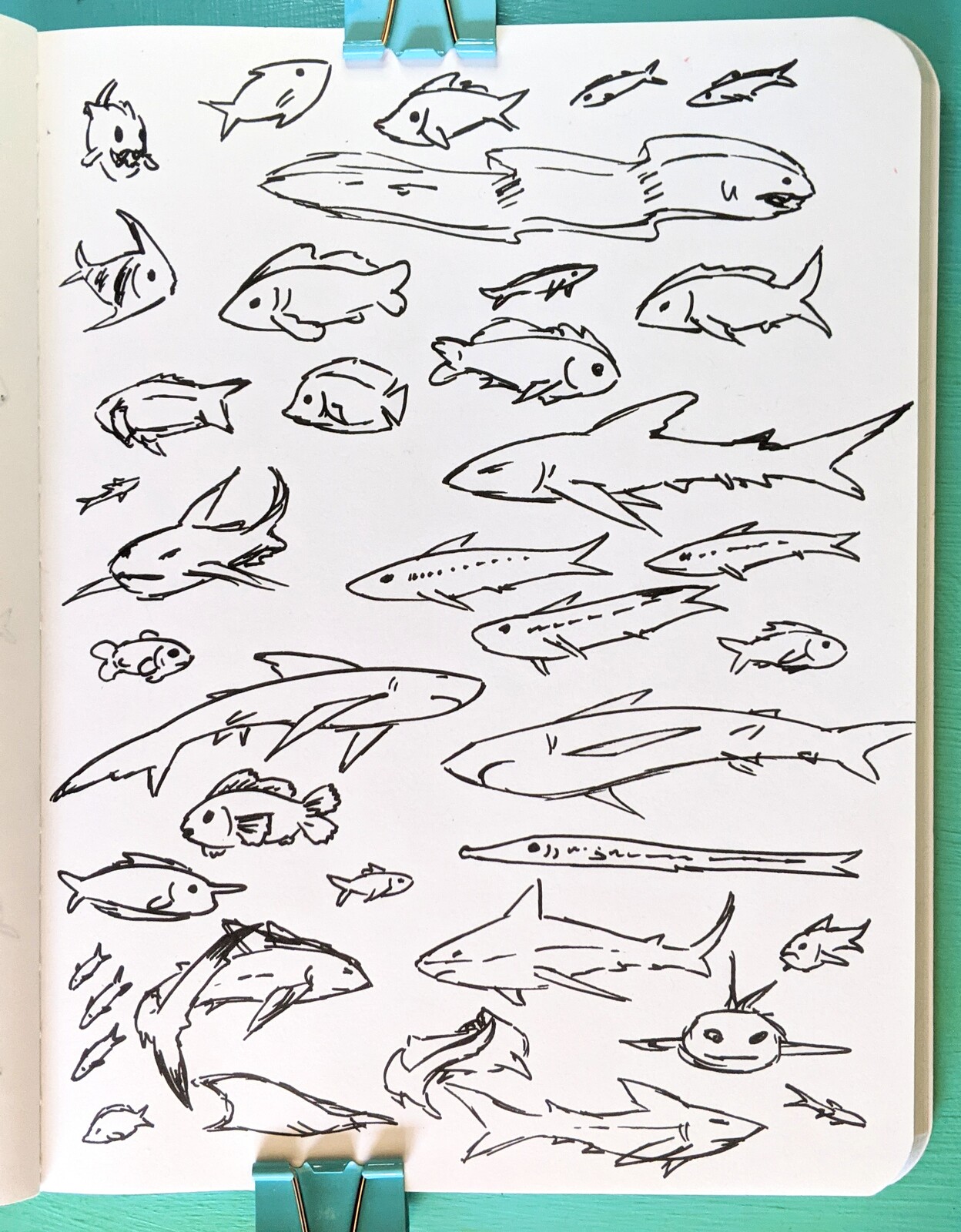 AJ Blake - Portfolio