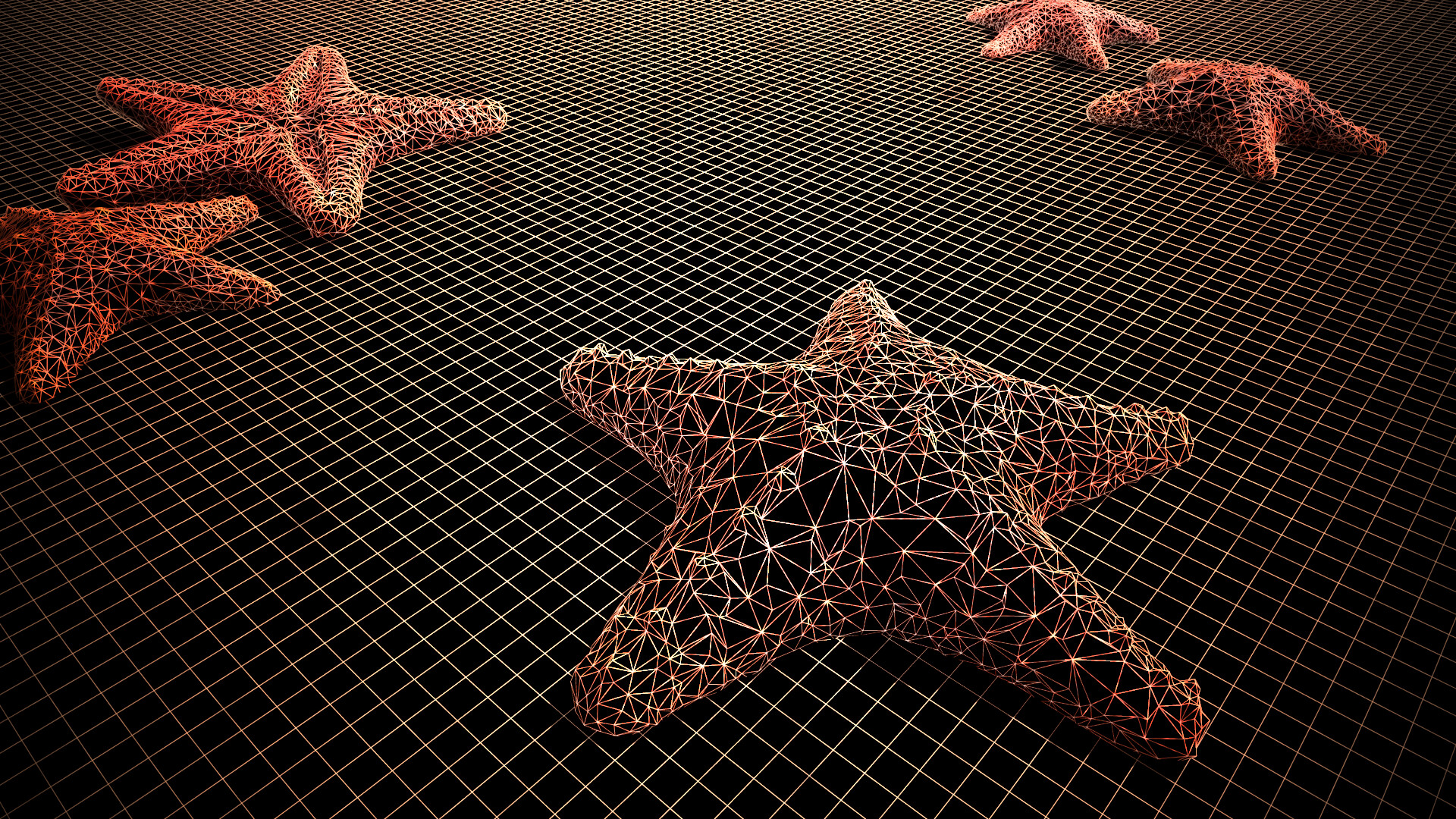 Edwin Hakemulder - Twinkle Twinkle Little Starfish