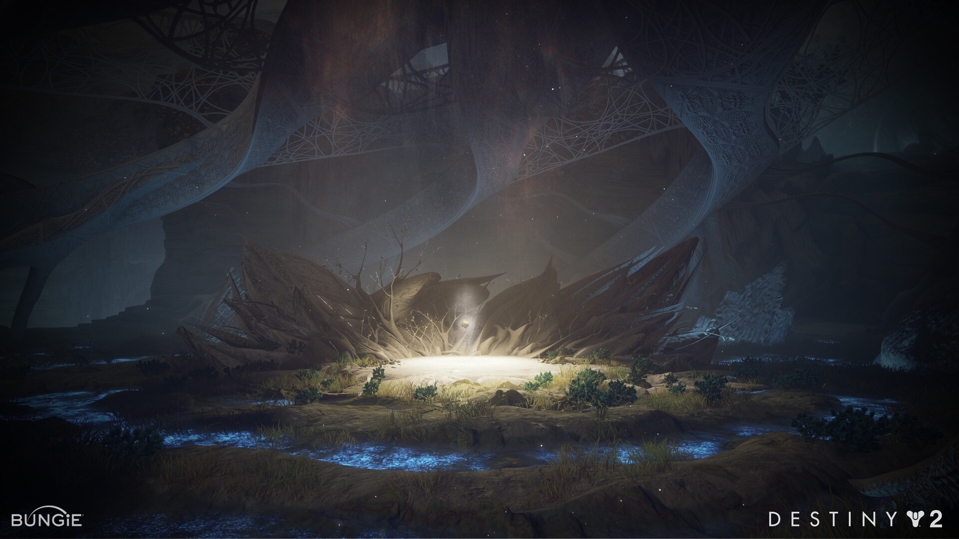 Eve Astra - Destiny 2 - Season of Arrivals - Io - The Cradle