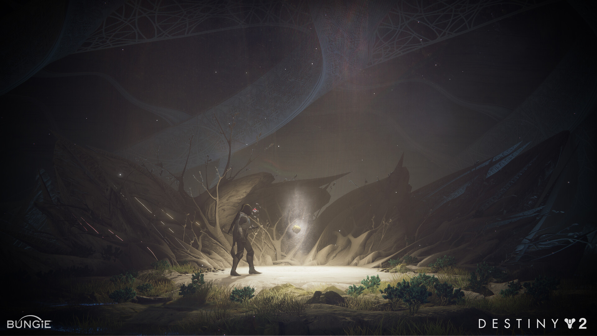 Eve Astra - Destiny 2 - Season of Arrivals - Io - The Cradle