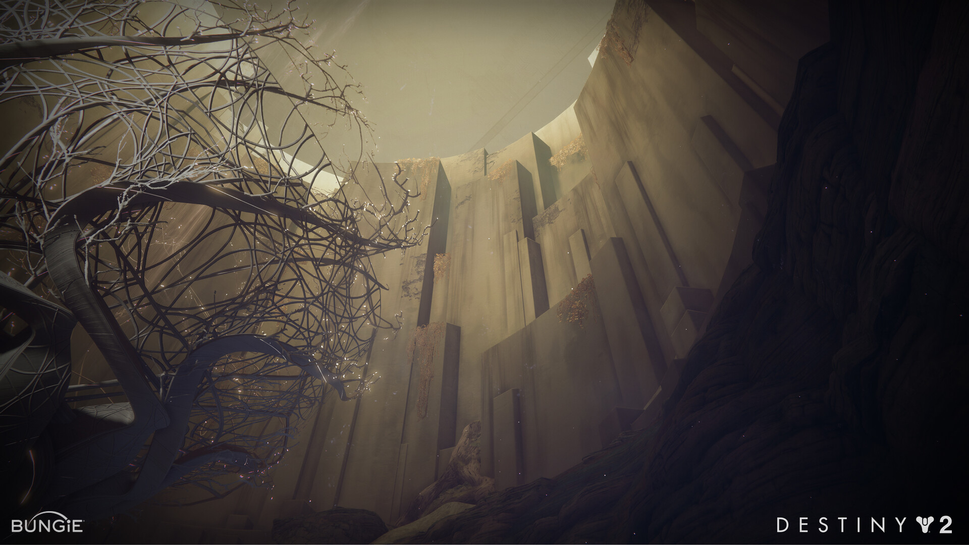 eve-astra-cradle-tree-016.jpg (1920×1080)-花瓣网