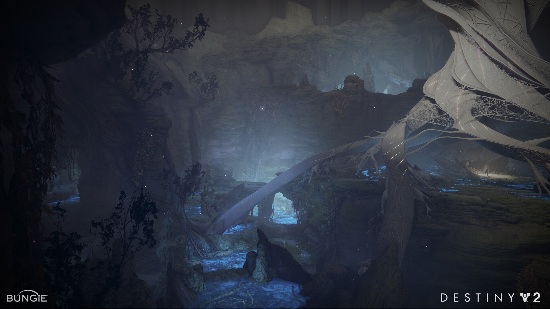 eve-astra-cradle-tree-018.jpg (1920×1080)