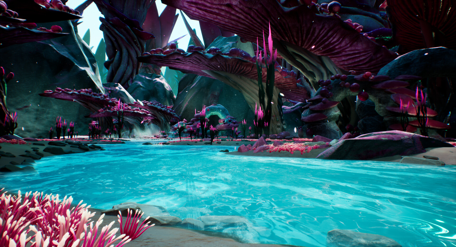 Andrew Loke - Fungal Environment