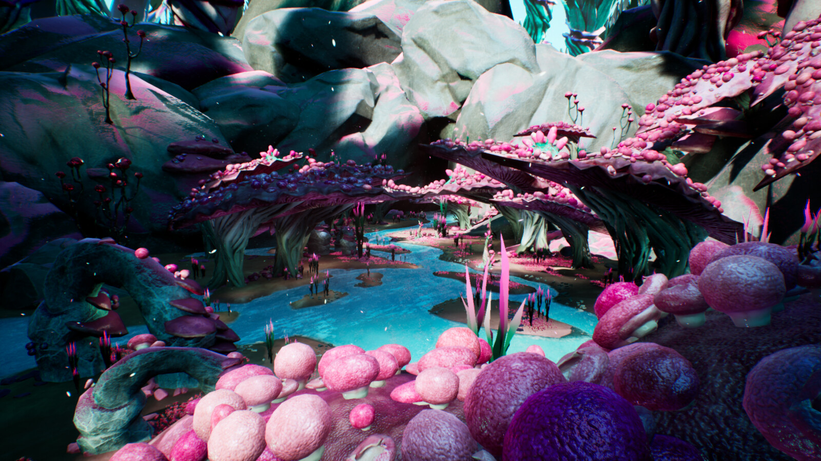 Andrew Loke - Fungal Environment