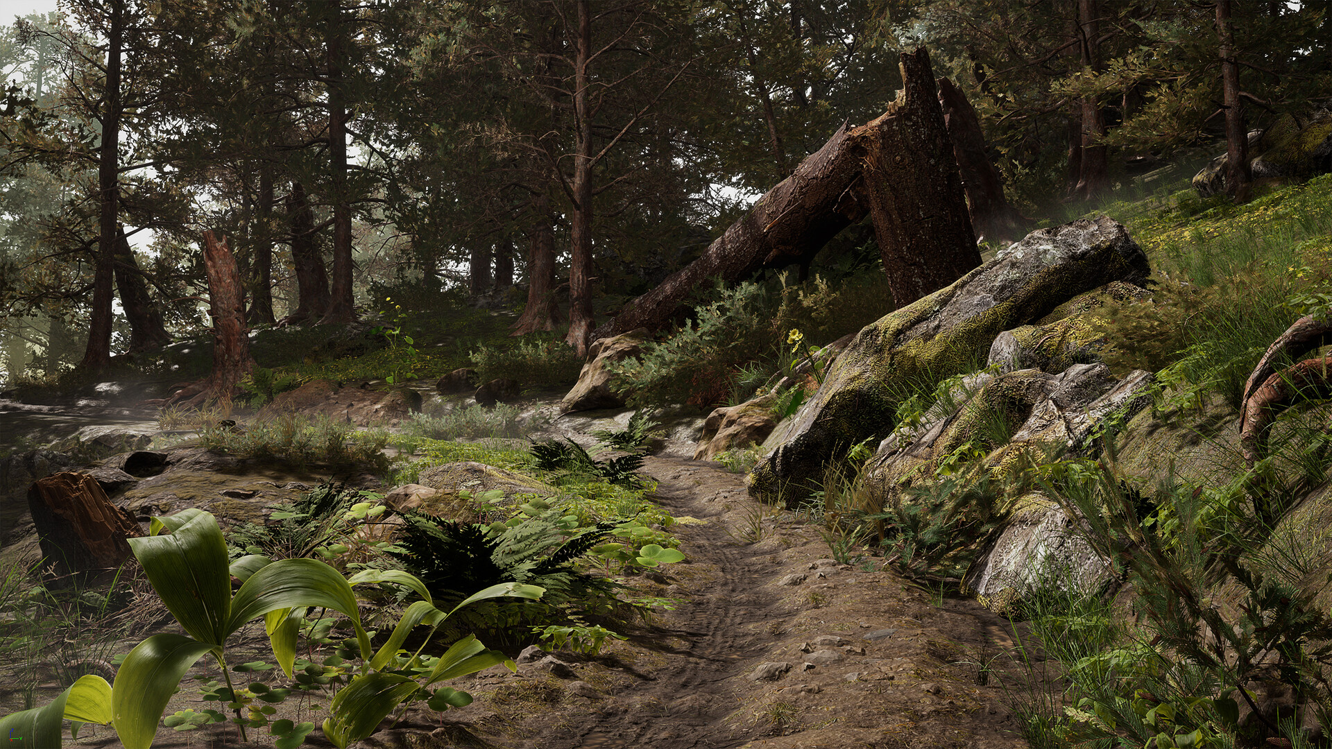John Diodati - Forest Path - Unreal Engine