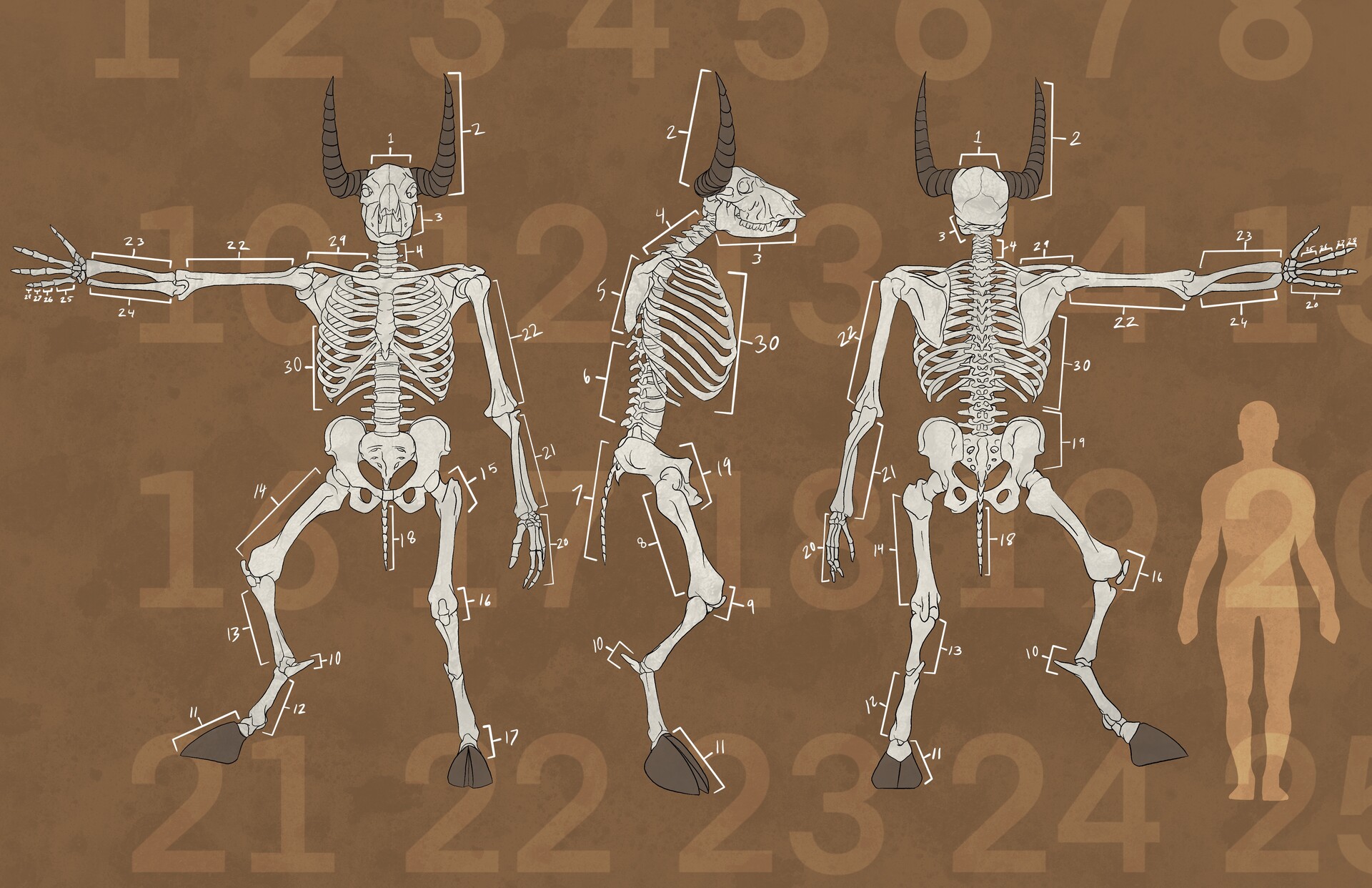 ArtStation - Minotaur Medical Project