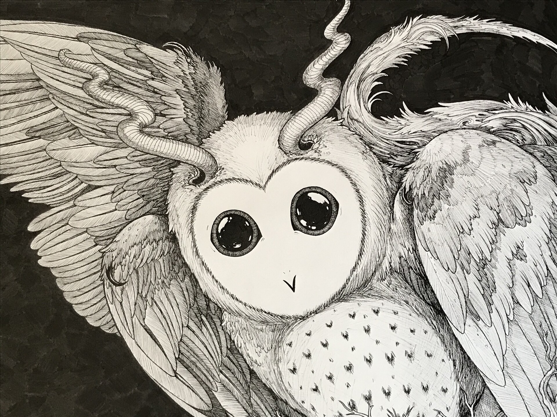 Alan Lujano - Ephemera, The Steppes of Ephemer