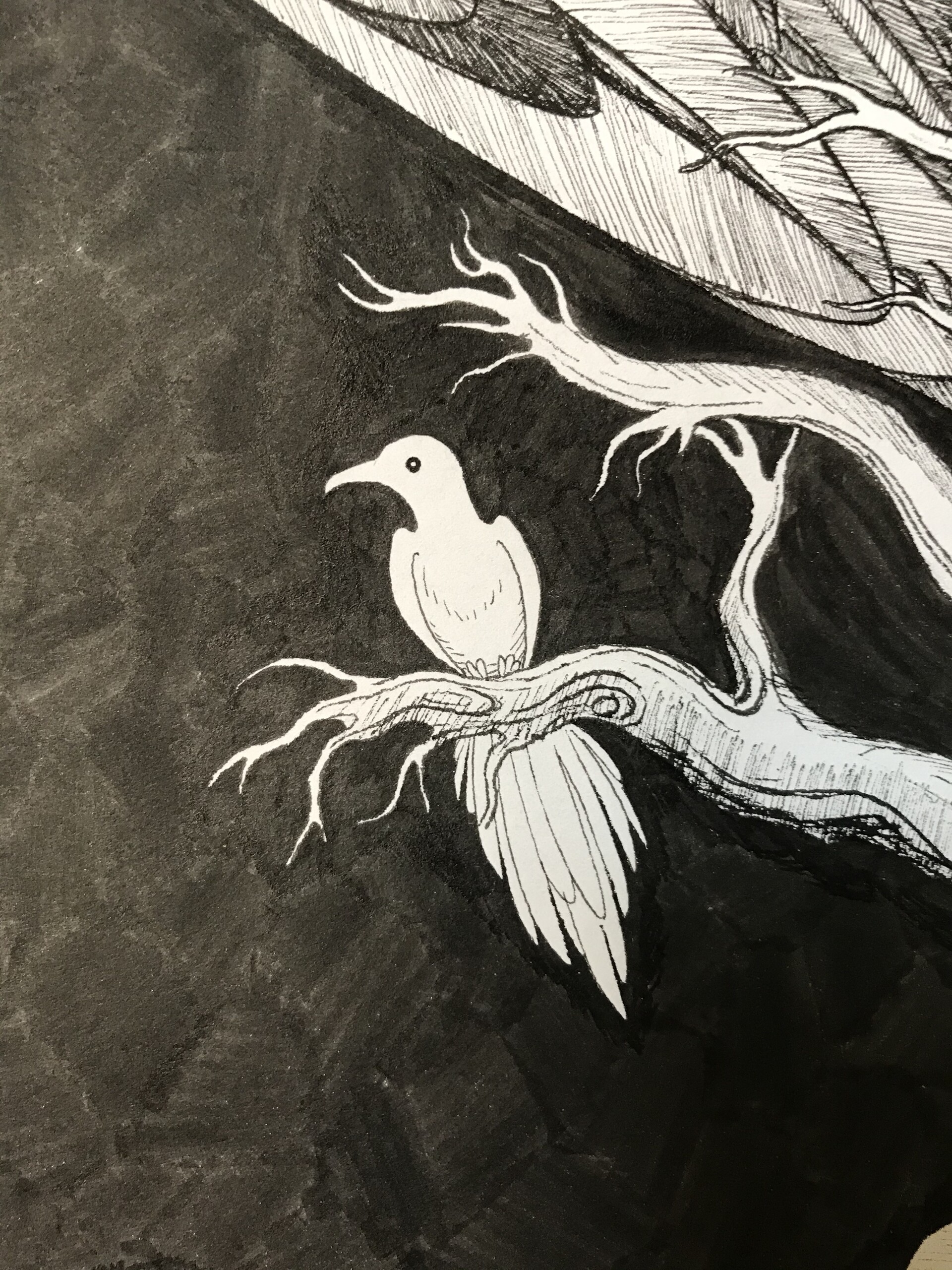 Alan Lujano - Ephemera, The Steppes of Ephemer