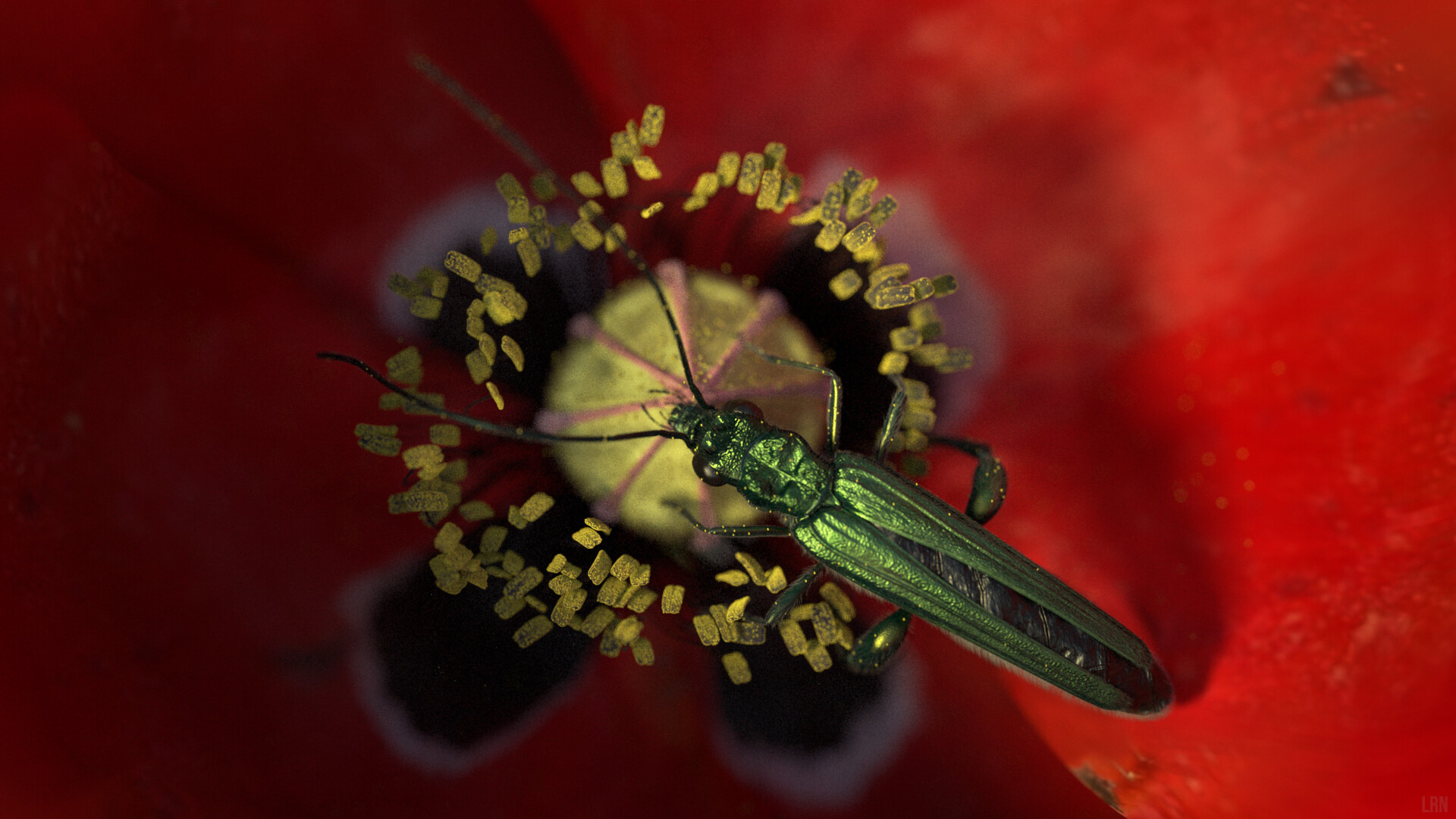 ArtStation - Project 2nd years, INSECT for Esma Toulouse