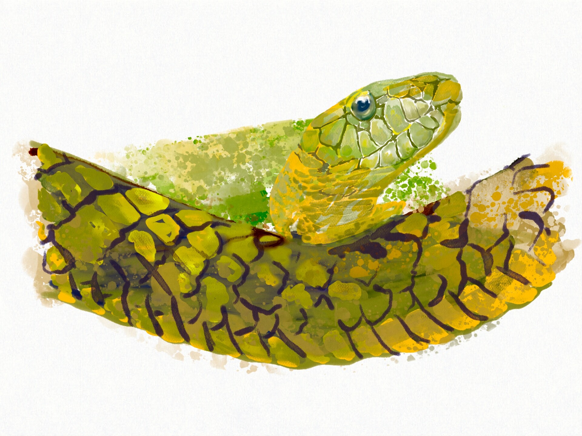 ArtStation - Green Snake