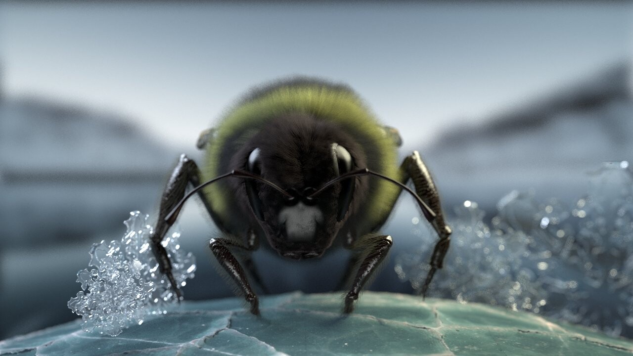 ArtStation - Arctic bumblebee