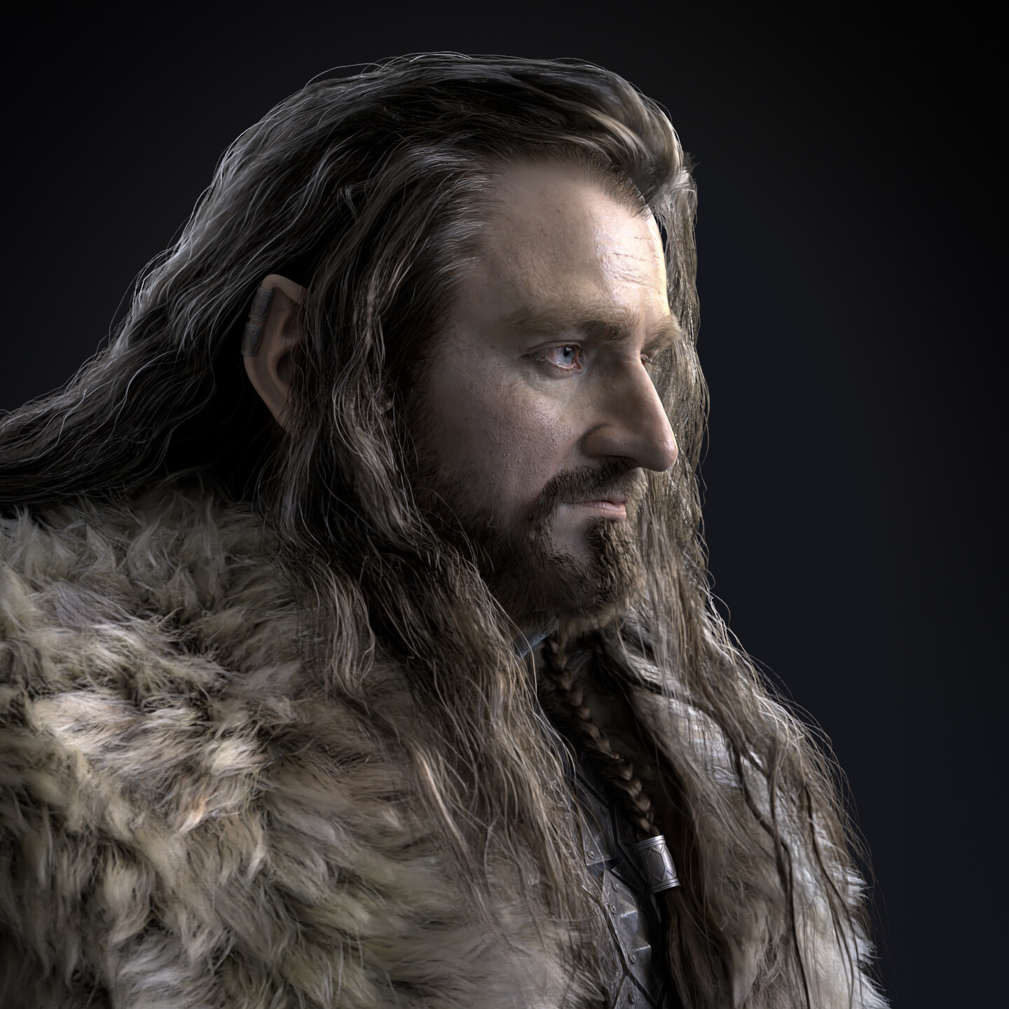 Thorin Hair