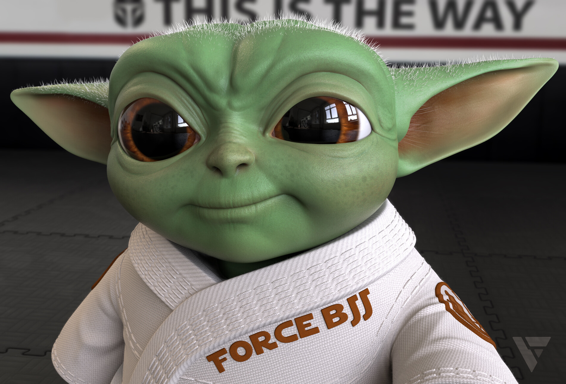 ArtStation - Star Wars Jiu-Jitsu Grogu