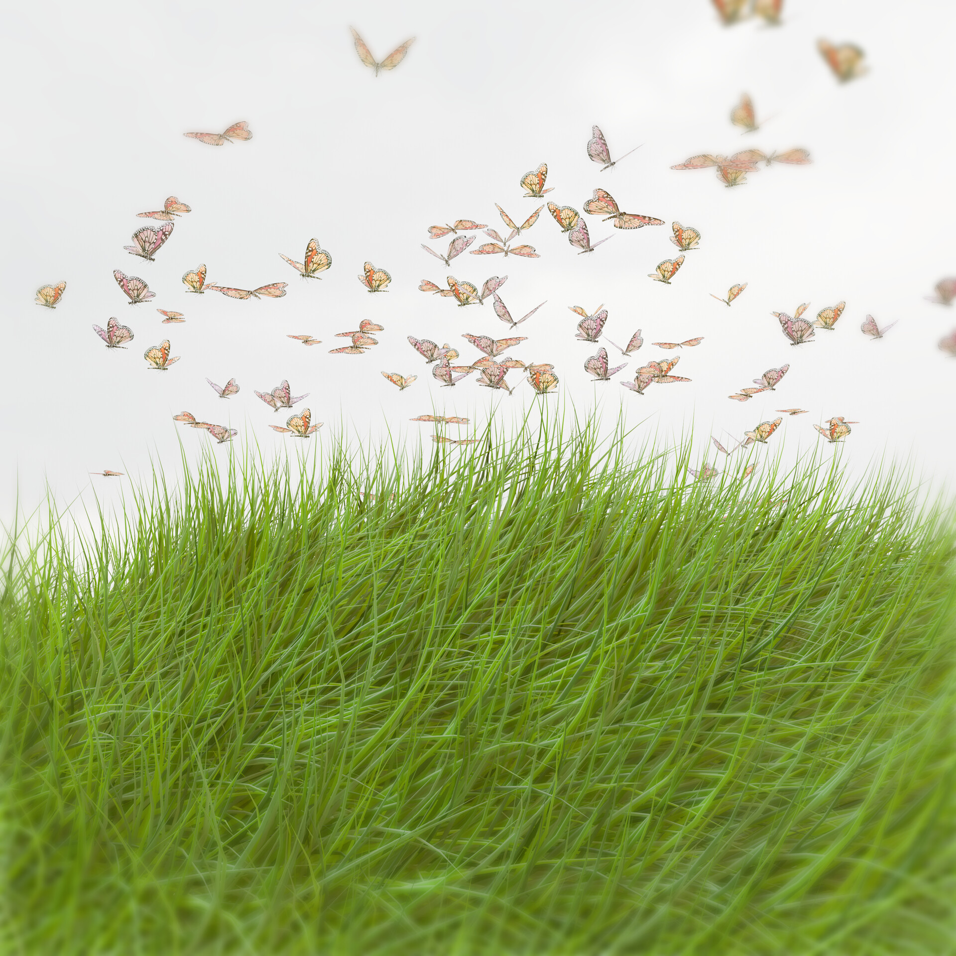 ArtStation - Grass Filed Animation