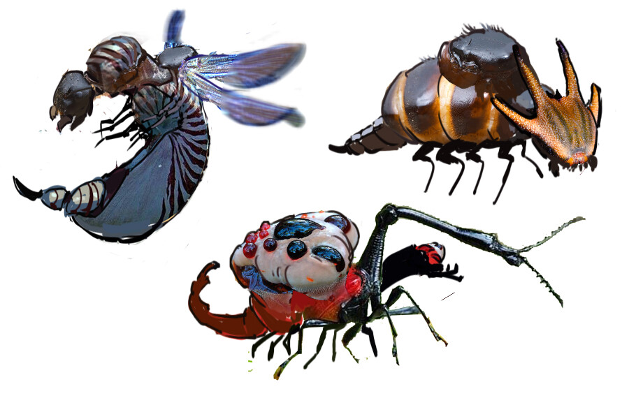 ArtStation - insect type 2