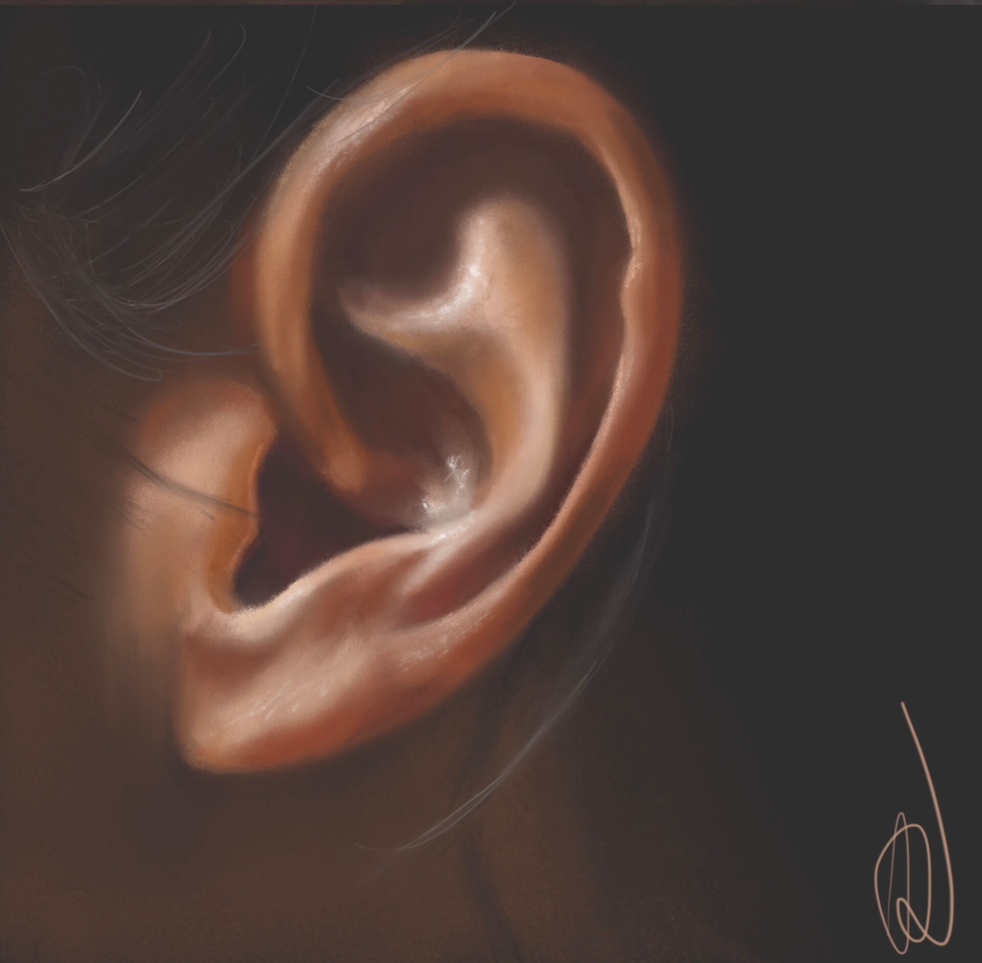 ArtStation - ears study no 3