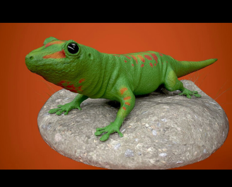 ArtStation - Lizard _University Project