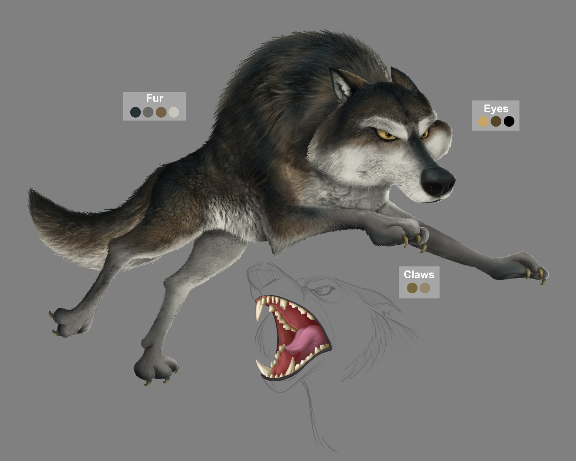 Chully Bunny - Animals Color Design