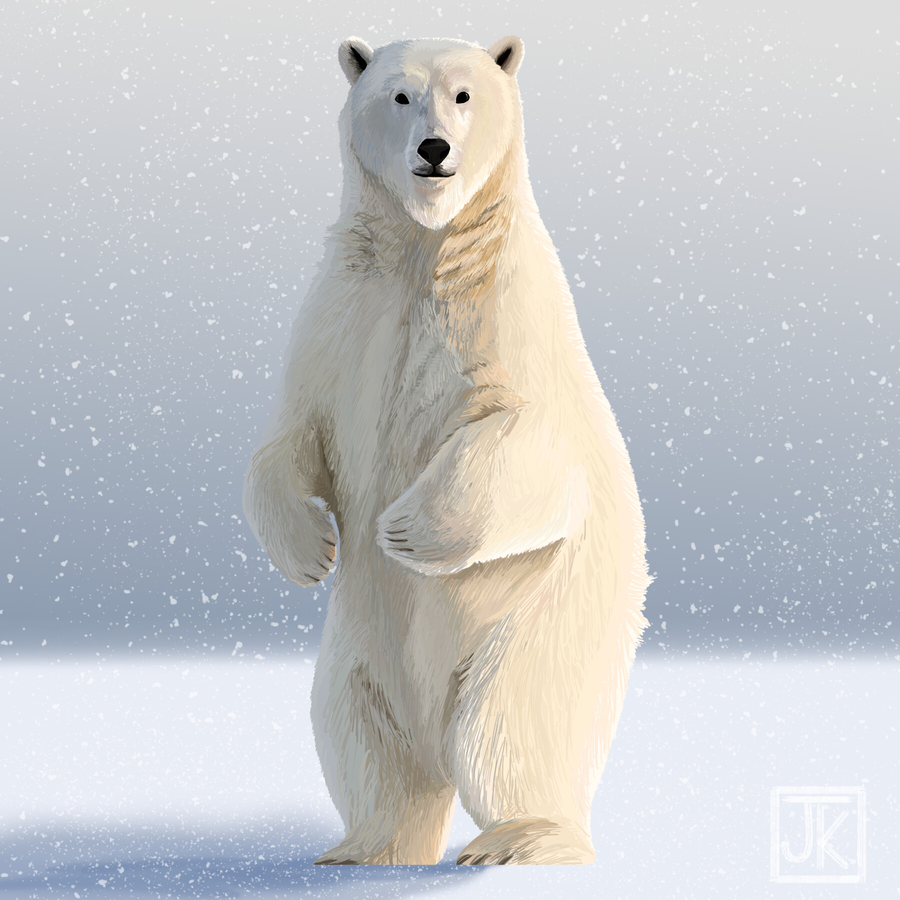 Jamie Knoop - Animal Studies: August - July