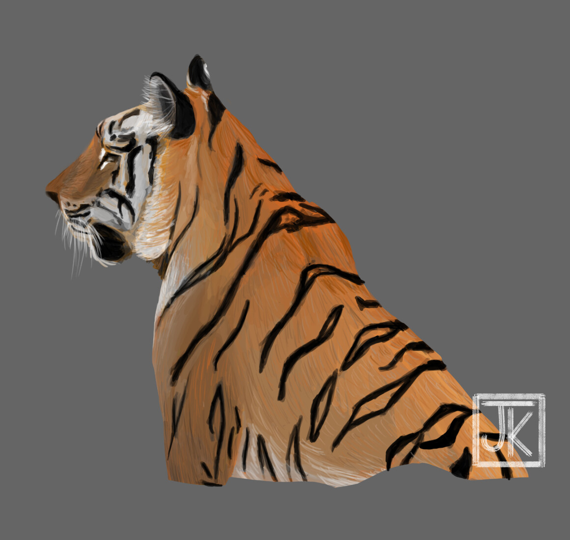 Jamie Knoop - Animal Studies: August - July