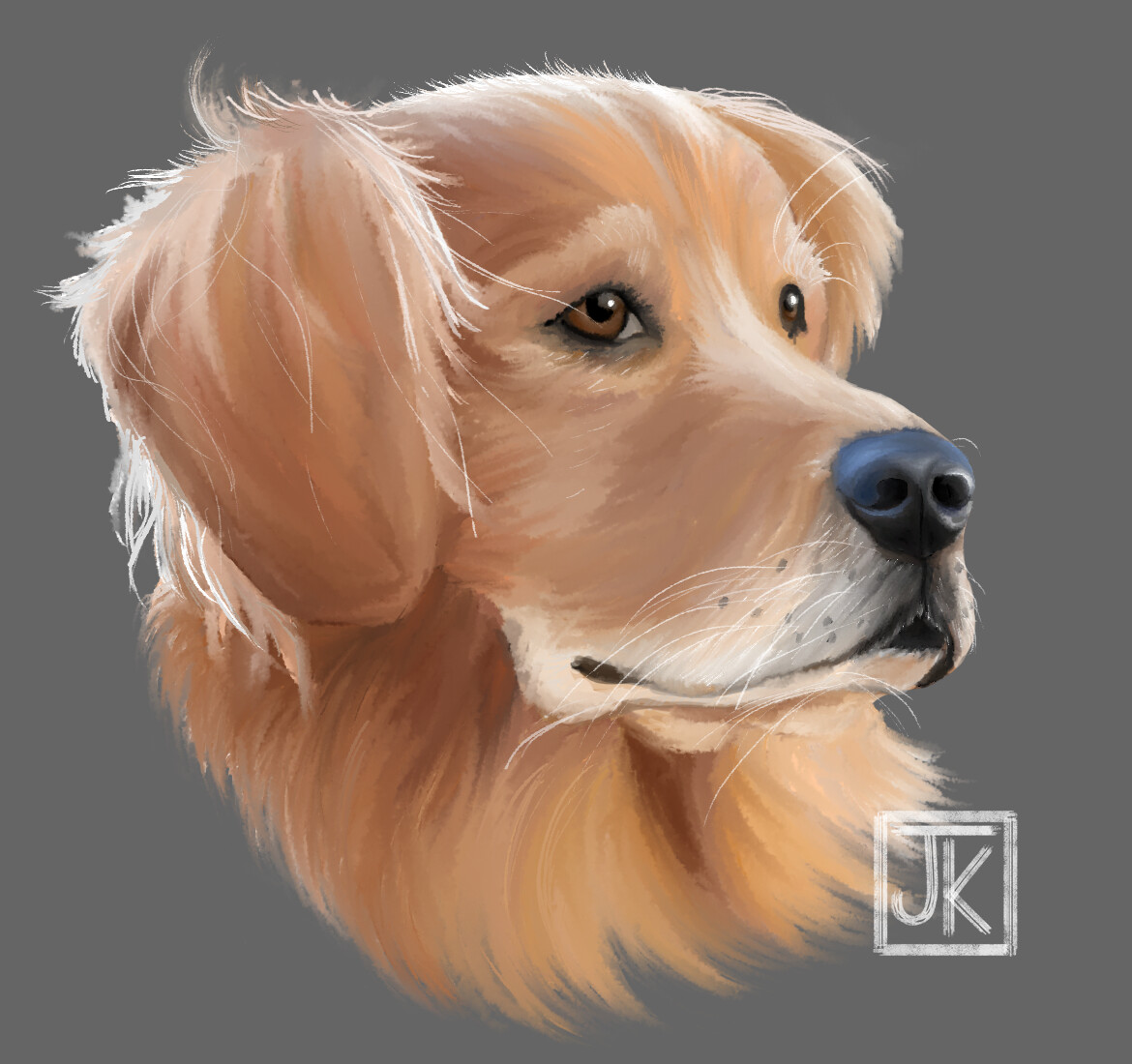 Jamie Knoop - Animal Studies: August - July