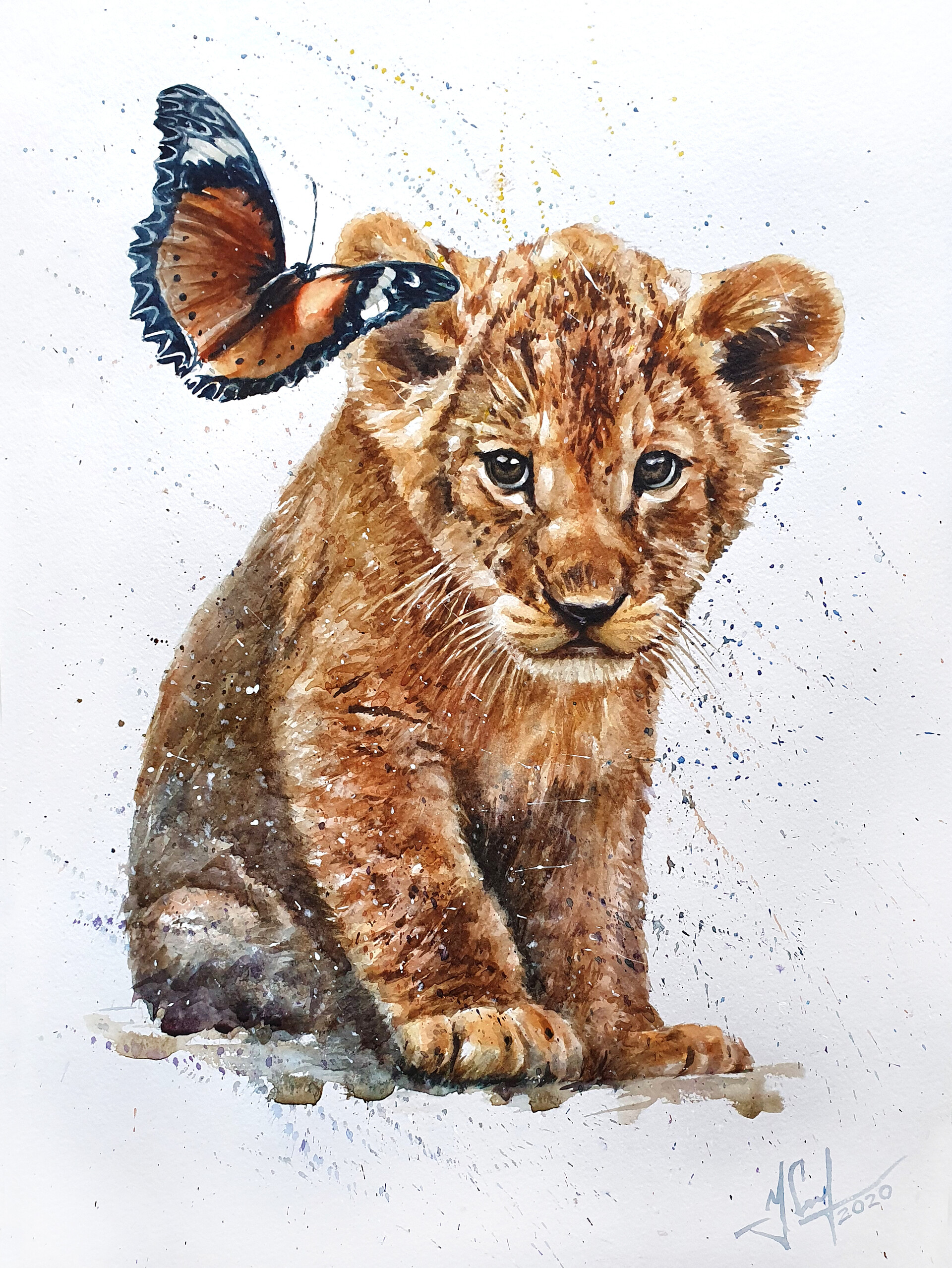 how to draw the butterfly lion