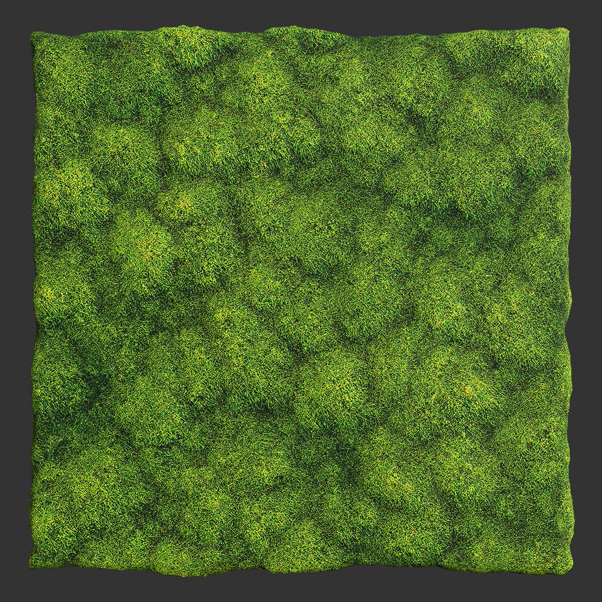 TextureCan - Moss Texture