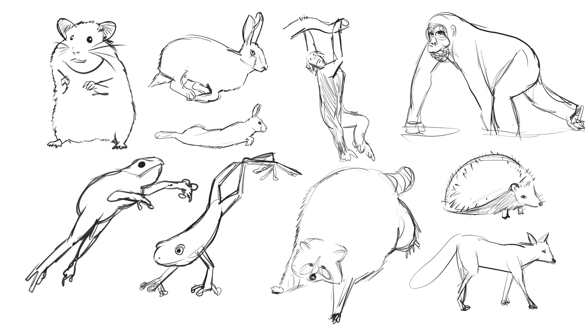 ArtStation - Animal Sketches