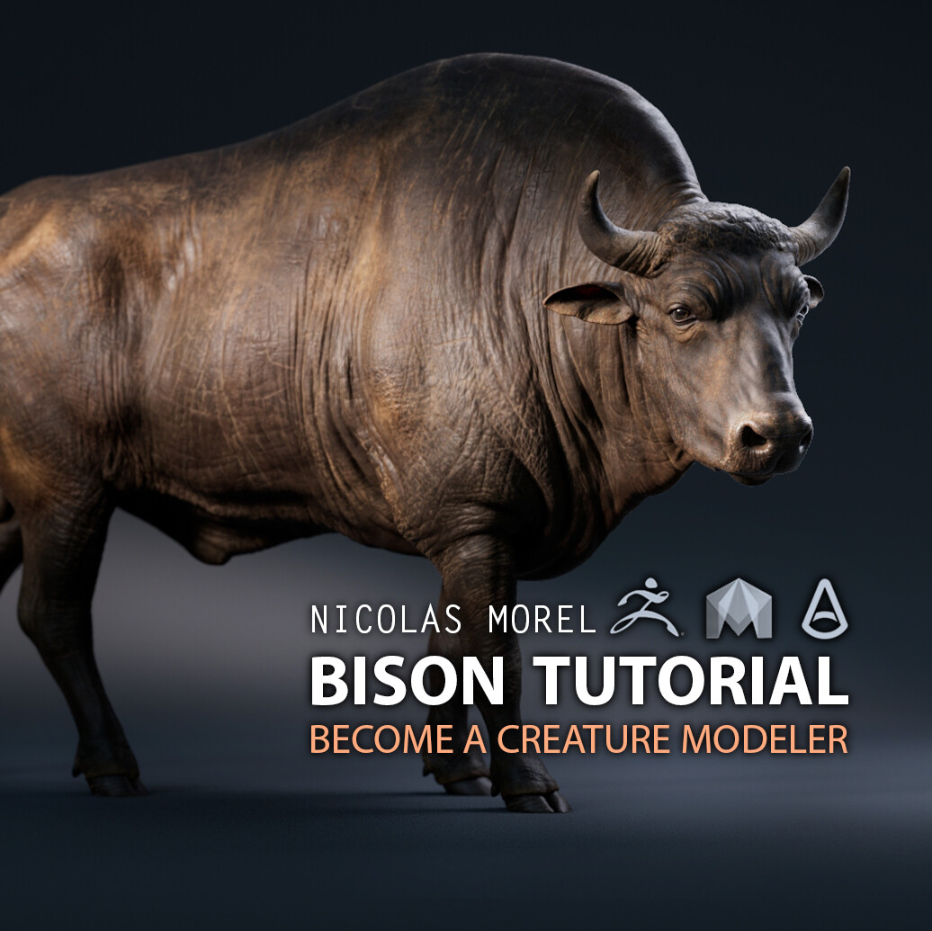 ArtStation - High-quality Bison Modeling from Scratch using Zbrush and Maya