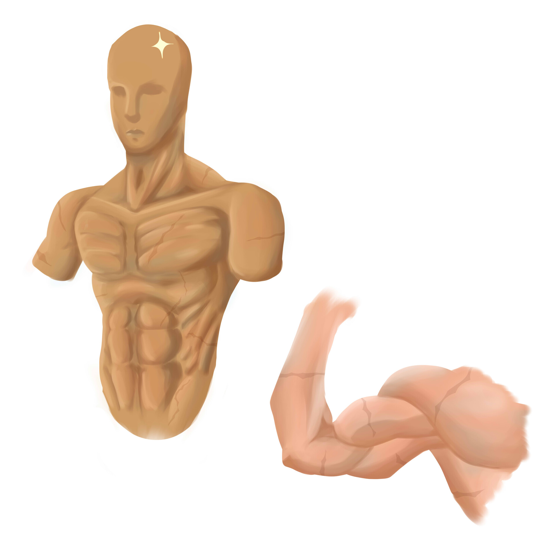 ArtStation - Muscle Sketches